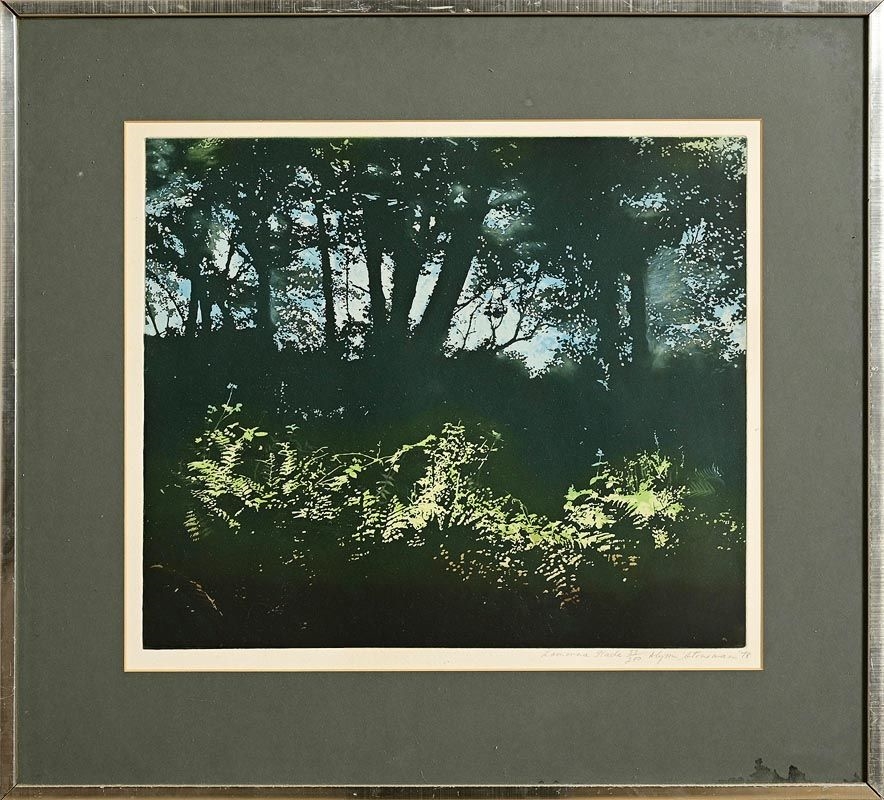 Alyson Stoneman | Lamorna Glade (1978) (1978) | MutualArt