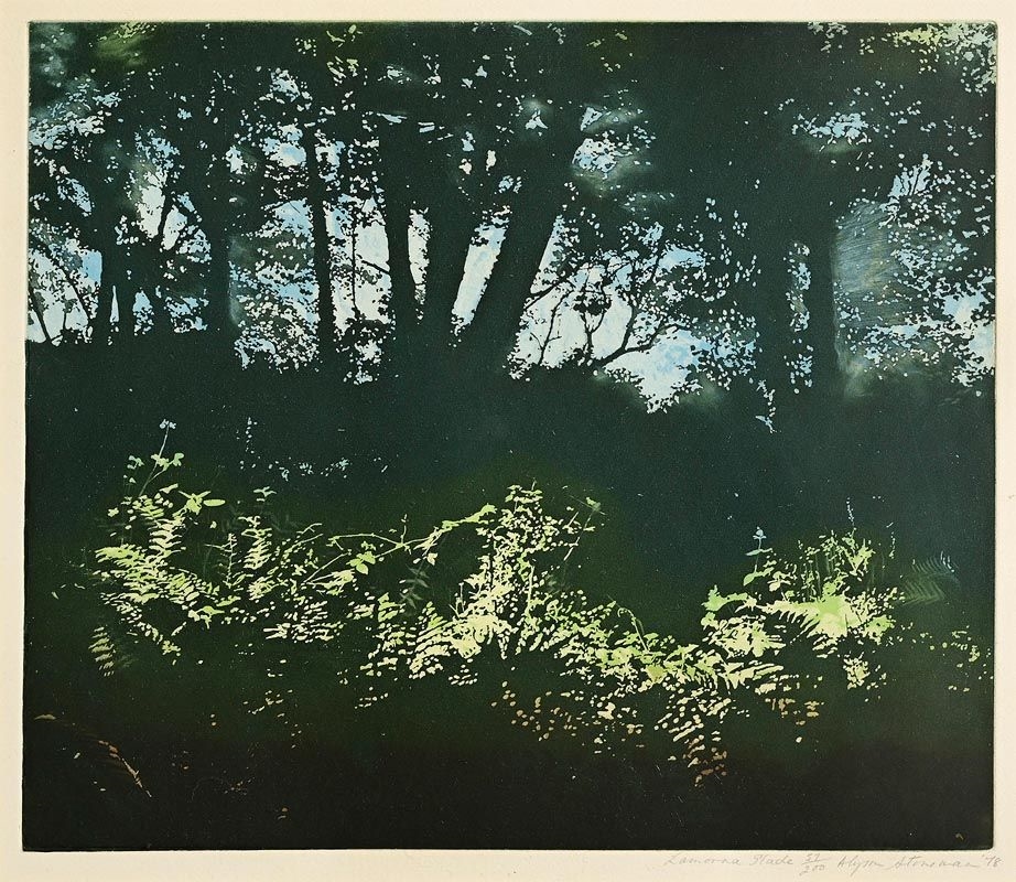 Alyson Stoneman | Lamorna Glade (1978) (1978) | MutualArt