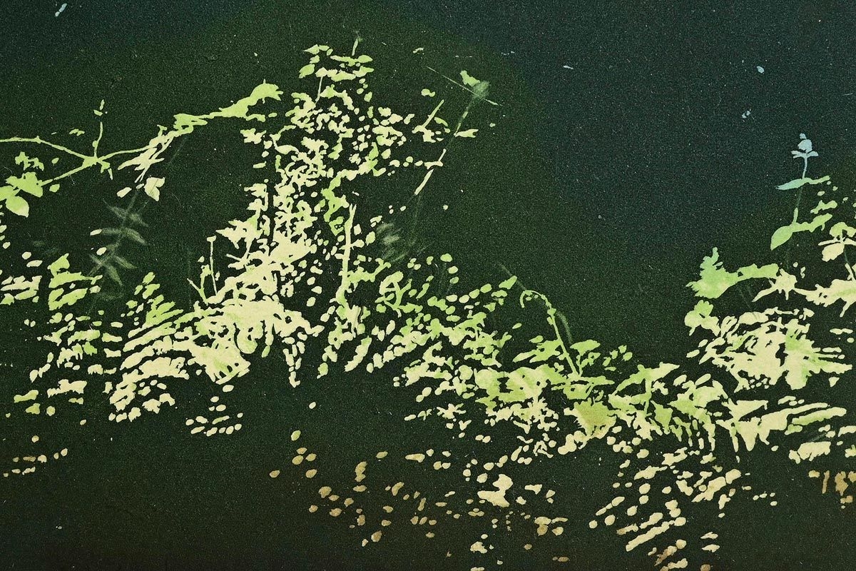 Alyson Stoneman | Lamorna Glade (1978) (1978) | MutualArt