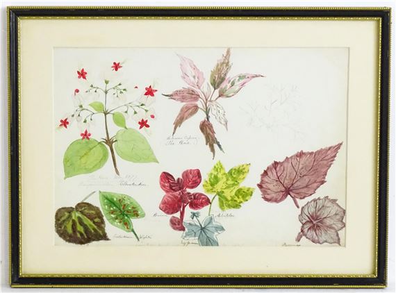 Alice Henriette Hope | 13 Artworks at Auction | MutualArt