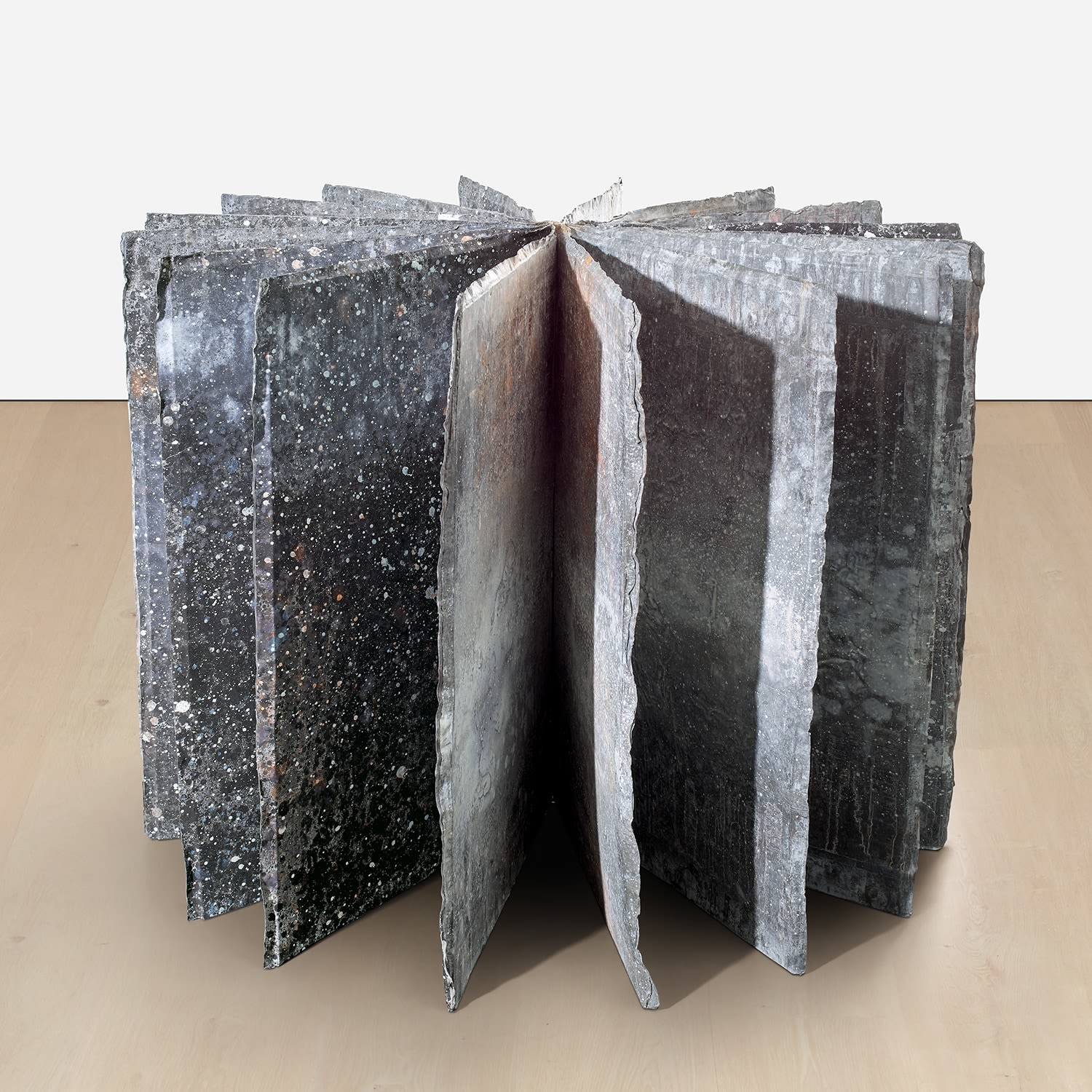 Anselm Kiefer | Star Book | MutualArt