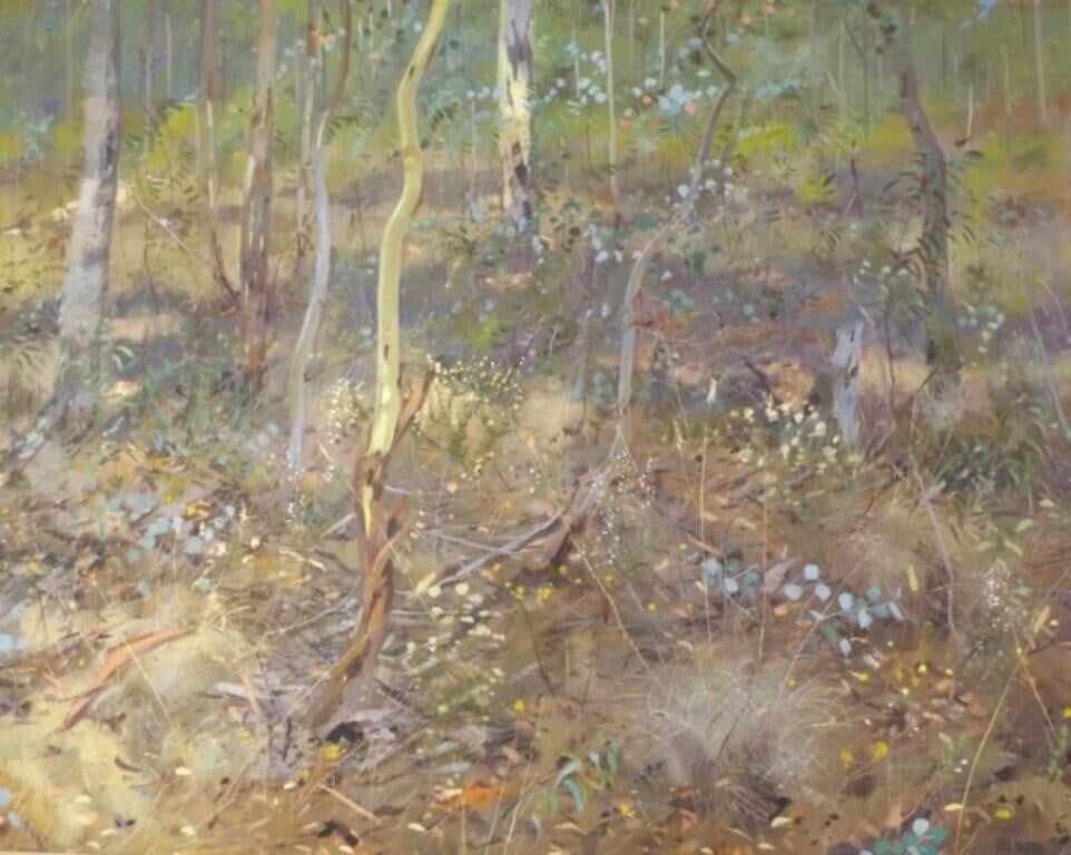 Hal Barton | Eucalypt landscape | MutualArt