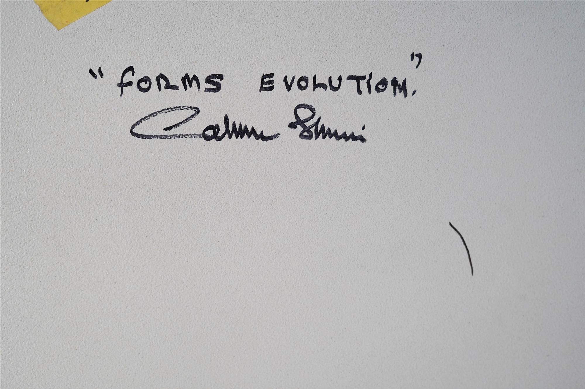 Calman Shemi | Forms evolution (1939) | MutualArt