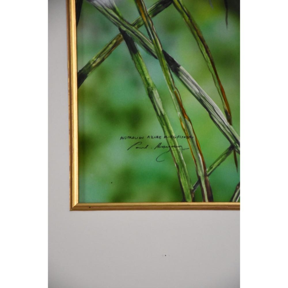 Paul Margocsy | The Australian Azure Kingfisher | MutualArt