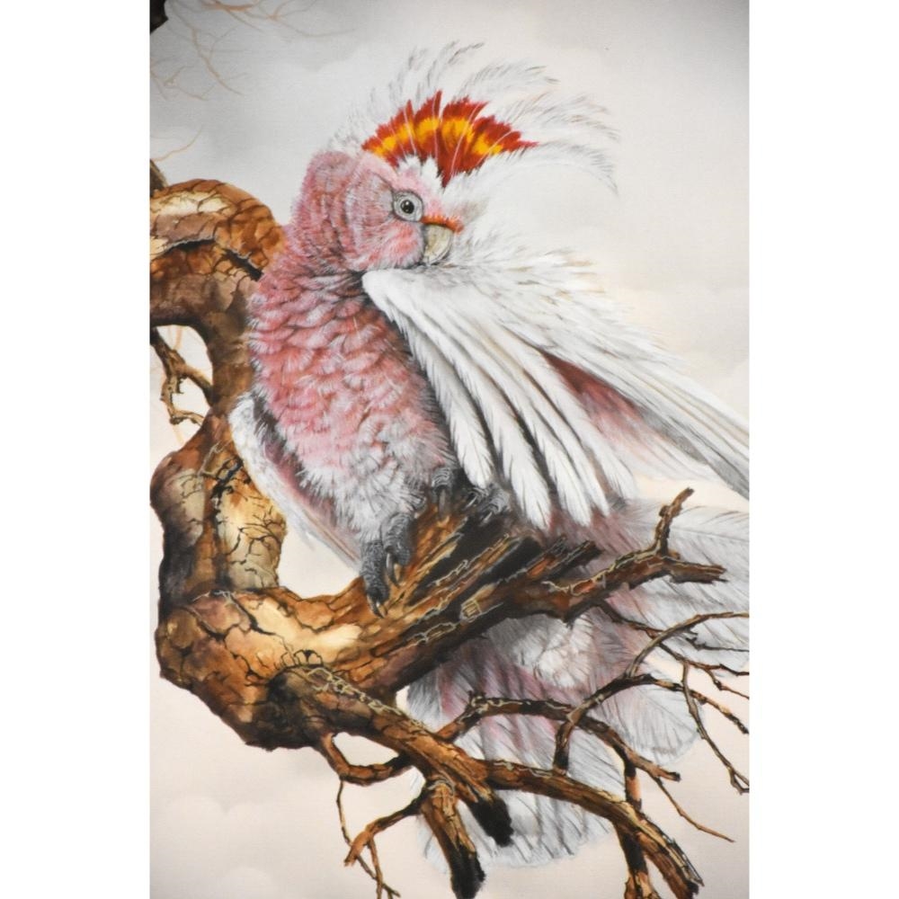 Paul Margocsy | The Major Mitchell Cockatoo | MutualArt