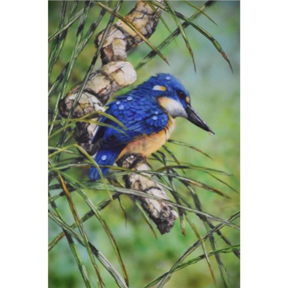 Paul Margocsy | The Australian Azure Kingfisher | MutualArt