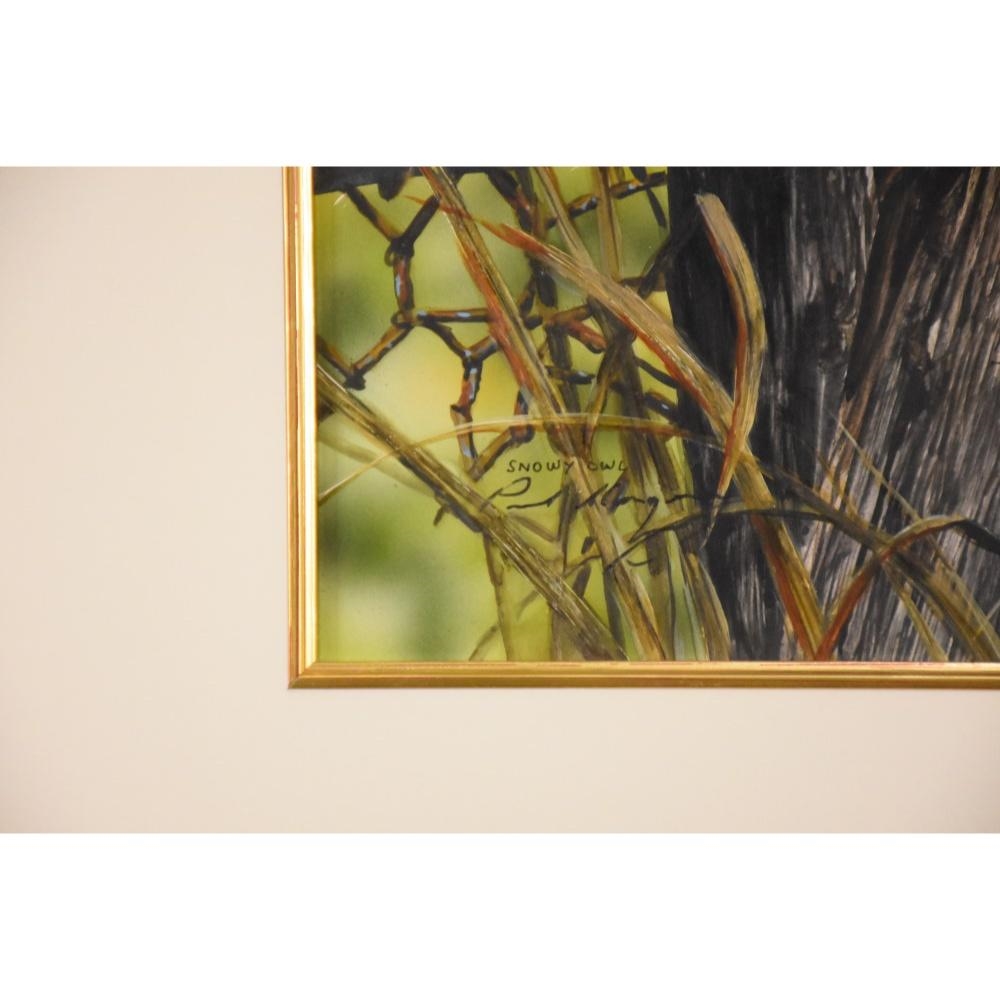 Paul Margocsy | Snowy Owl | MutualArt