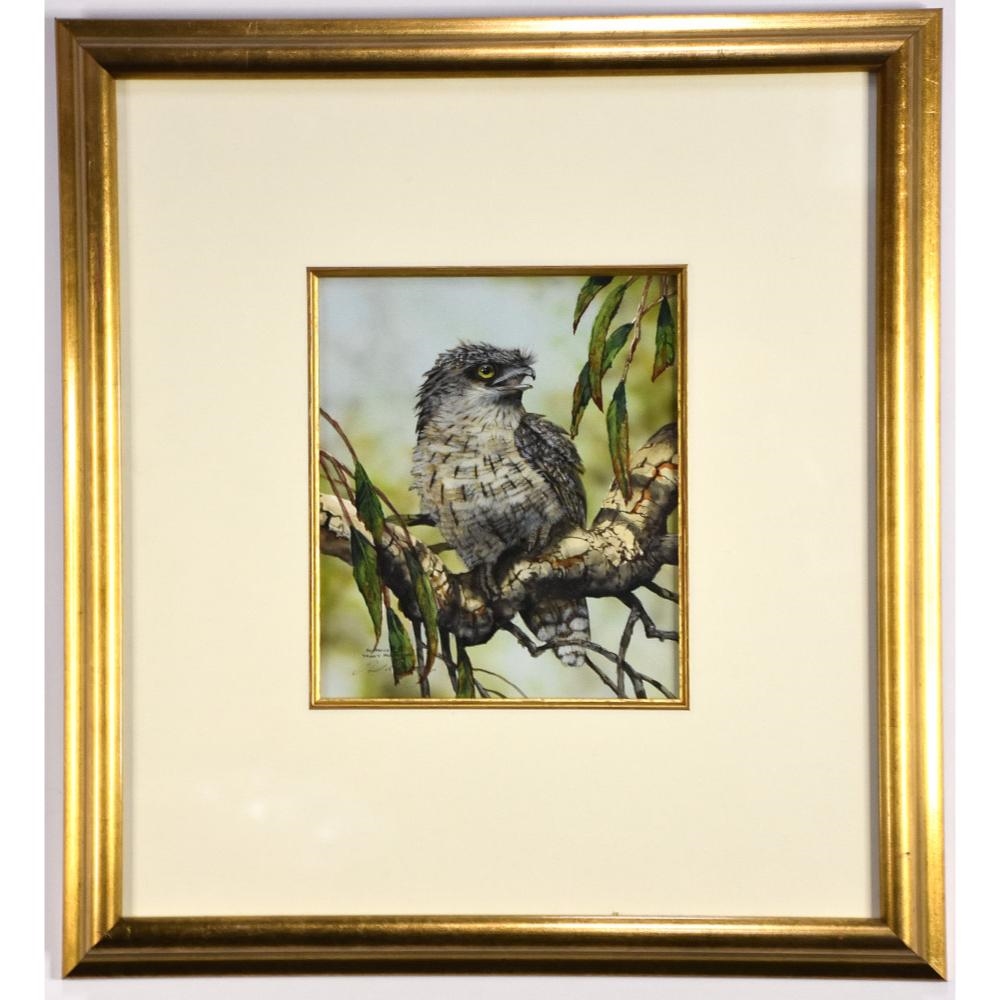 Paul Margocsy | Tawny Frogmouth Owl | MutualArt