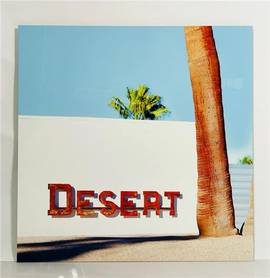 Fred Moser | Desert | MutualArt