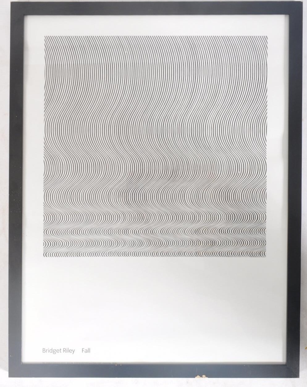 Bridget Riley | Fall (2000) | MutualArt