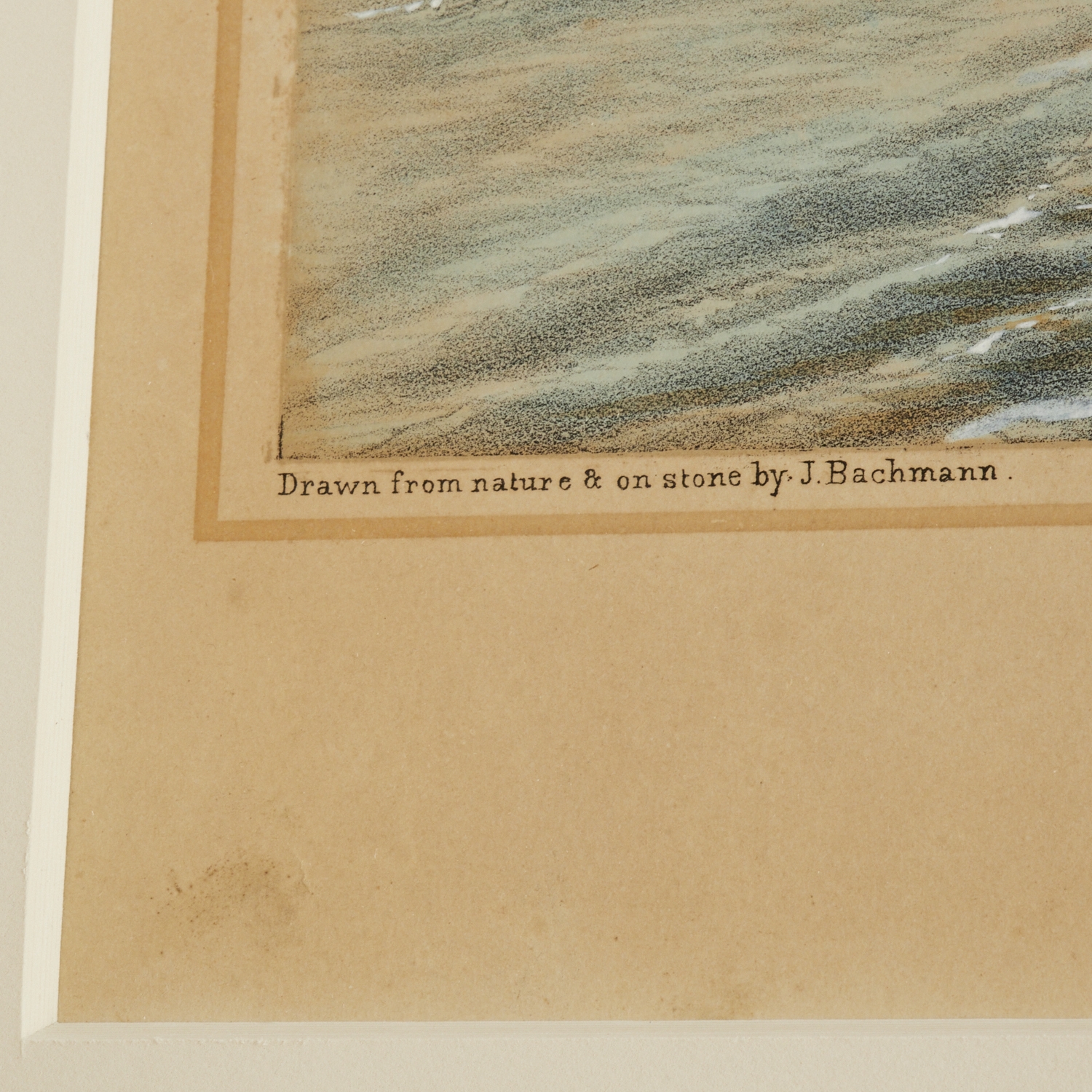 John Bachmann | The Empire City, Birdseye View of New-York and Environs ...