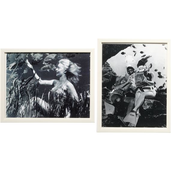 Bruce Mozert | Underwater Scenes | MutualArt