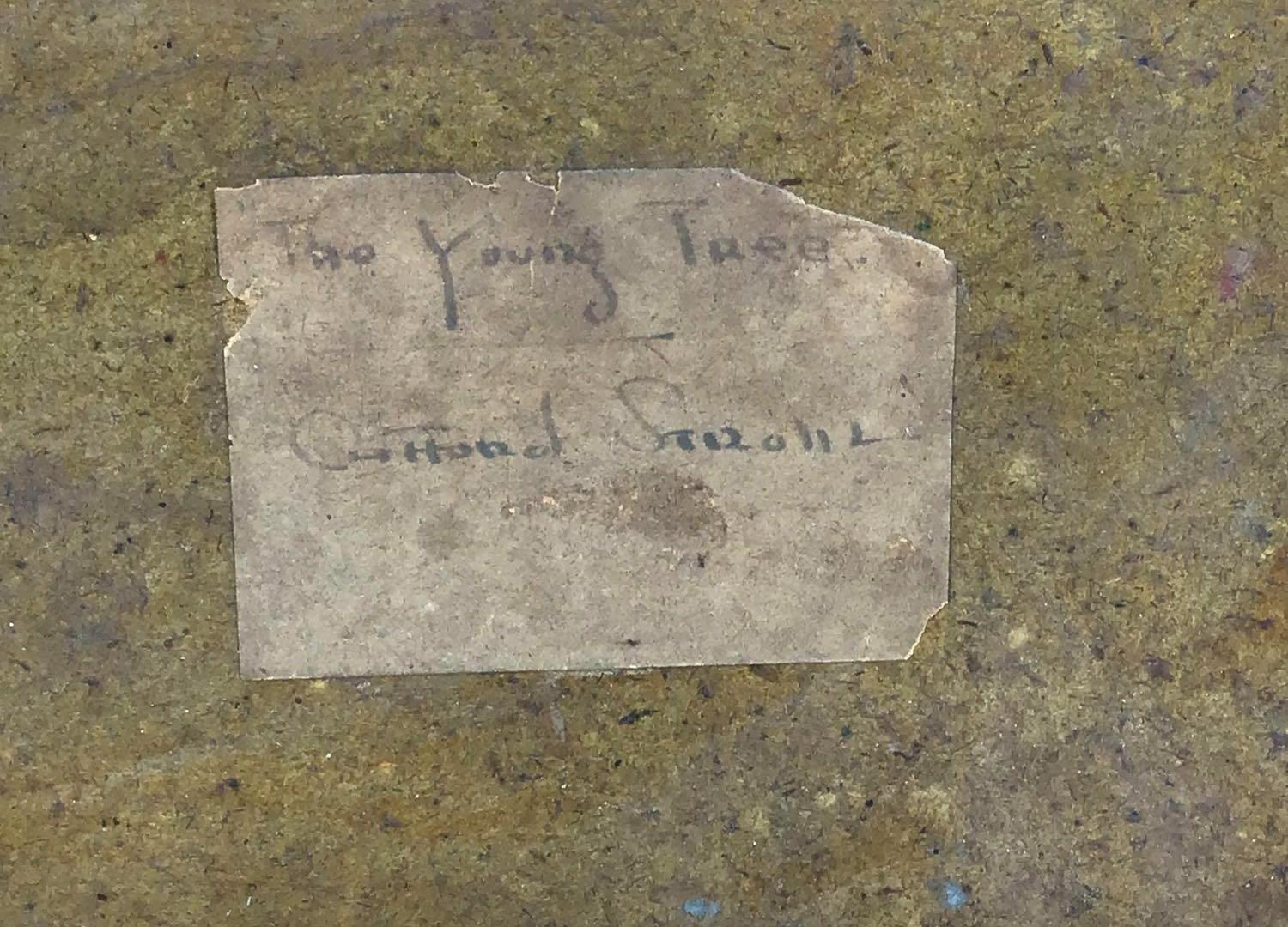 Clifford Harrison Strohl | The Young Tree (1920) | MutualArt