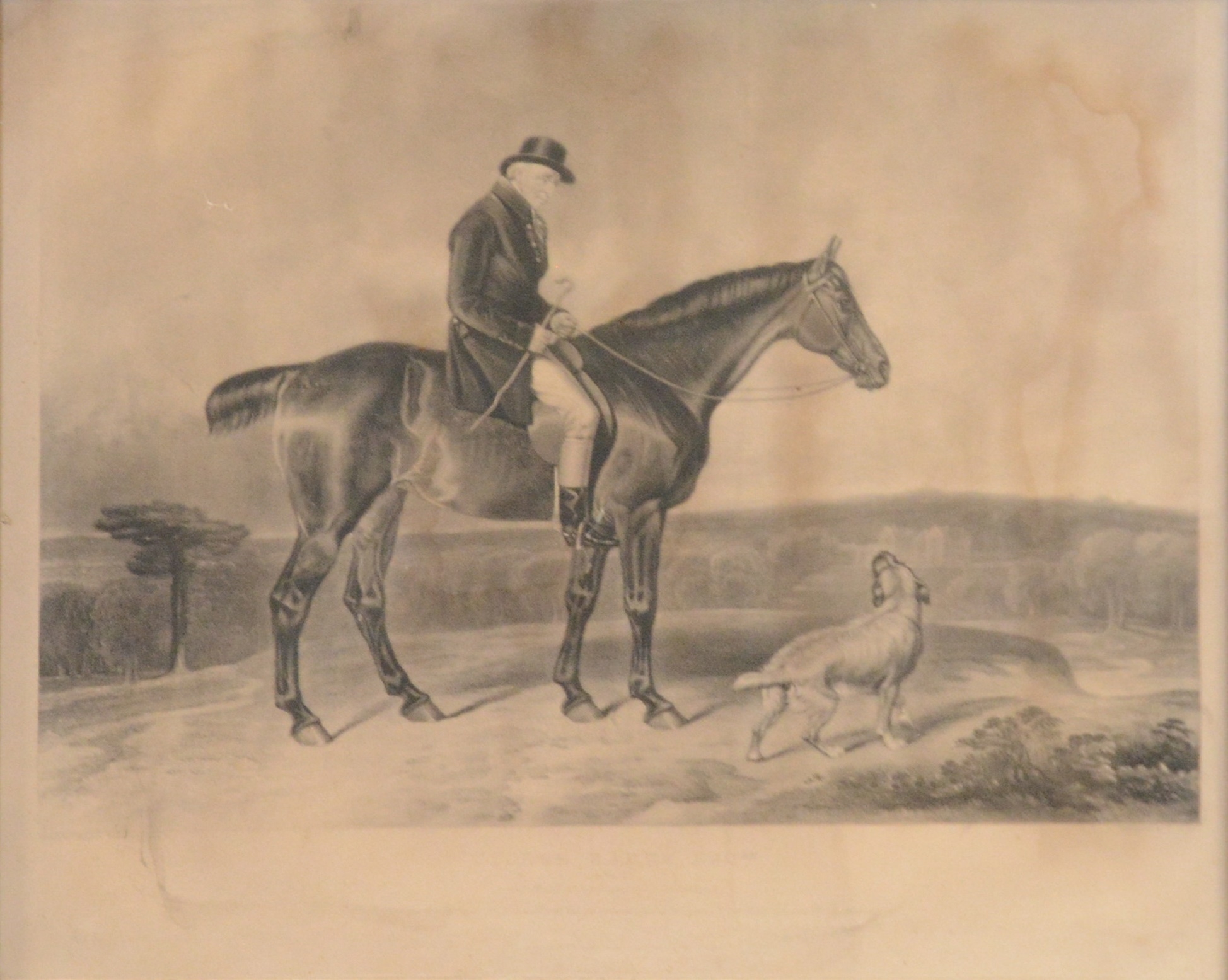 Charles Hancock | Blue Bonnet (1842) | MutualArt