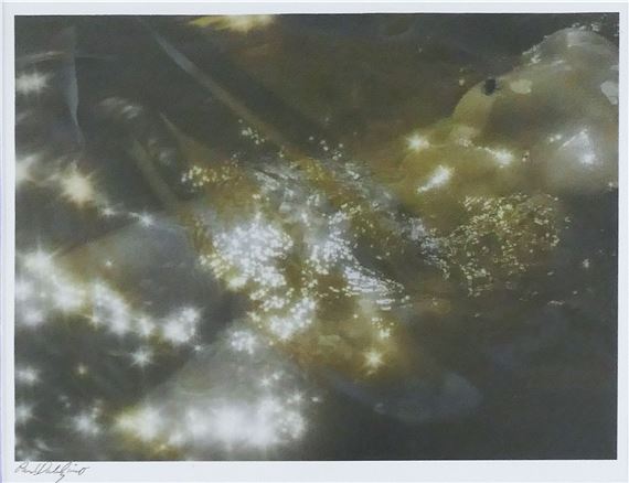 Paul Dahlquist | ''SUPERIMPOSED NUDE'' | MutualArt