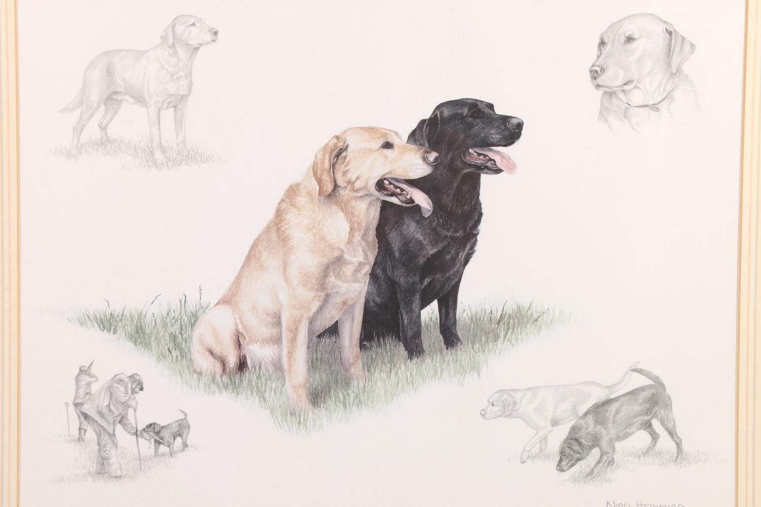 Nigel Hemming | Labradors | MutualArt
