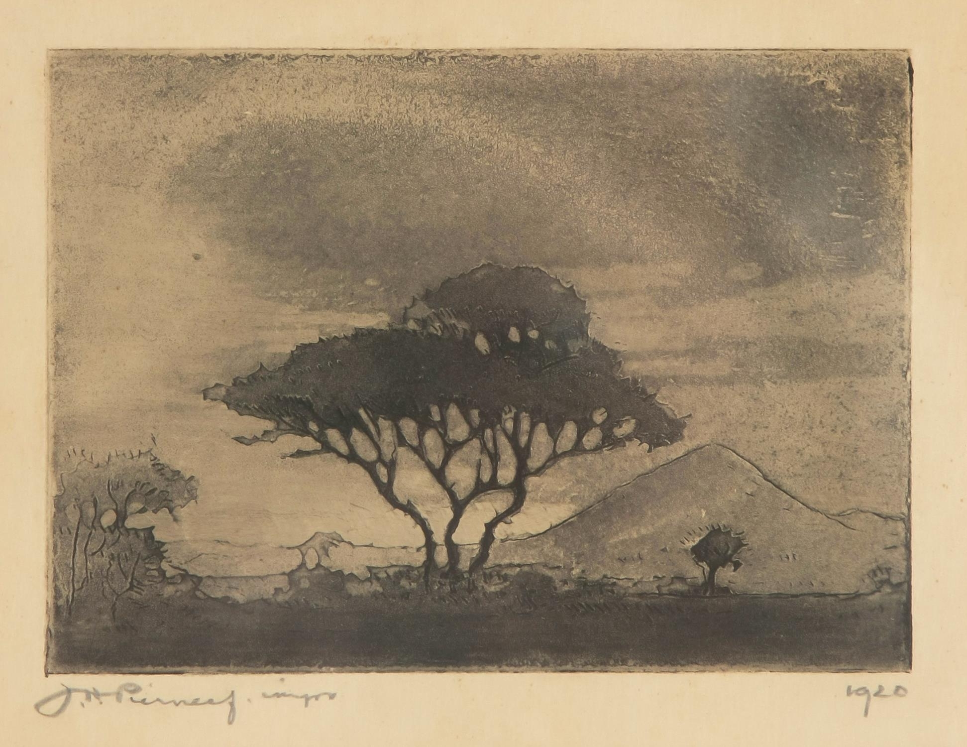 Jacob Hendrik Pierneef | TREE, SOUTH WEST AFRICA (1920) | MutualArt