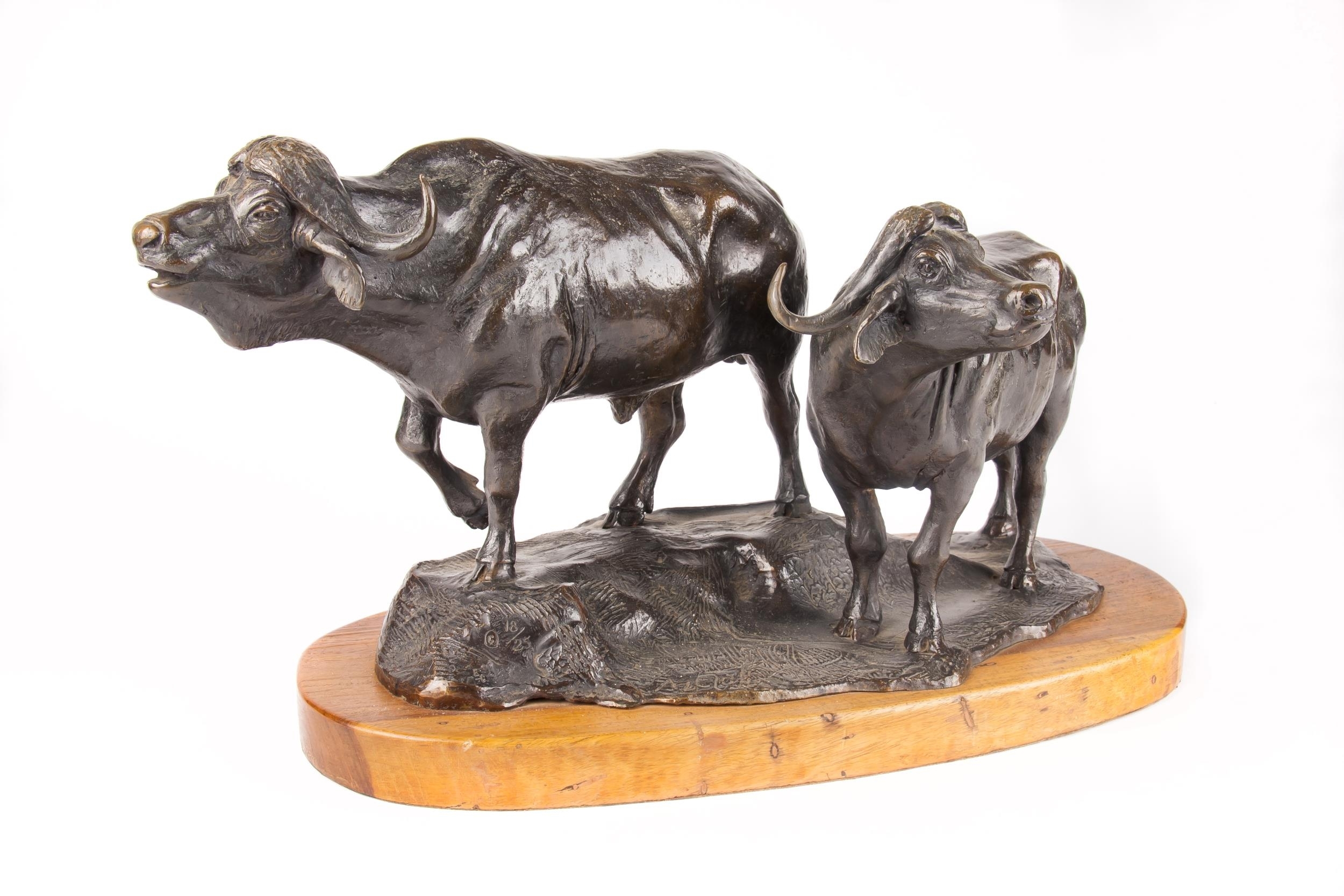 Arend Eloff | BUFFALOES | MutualArt