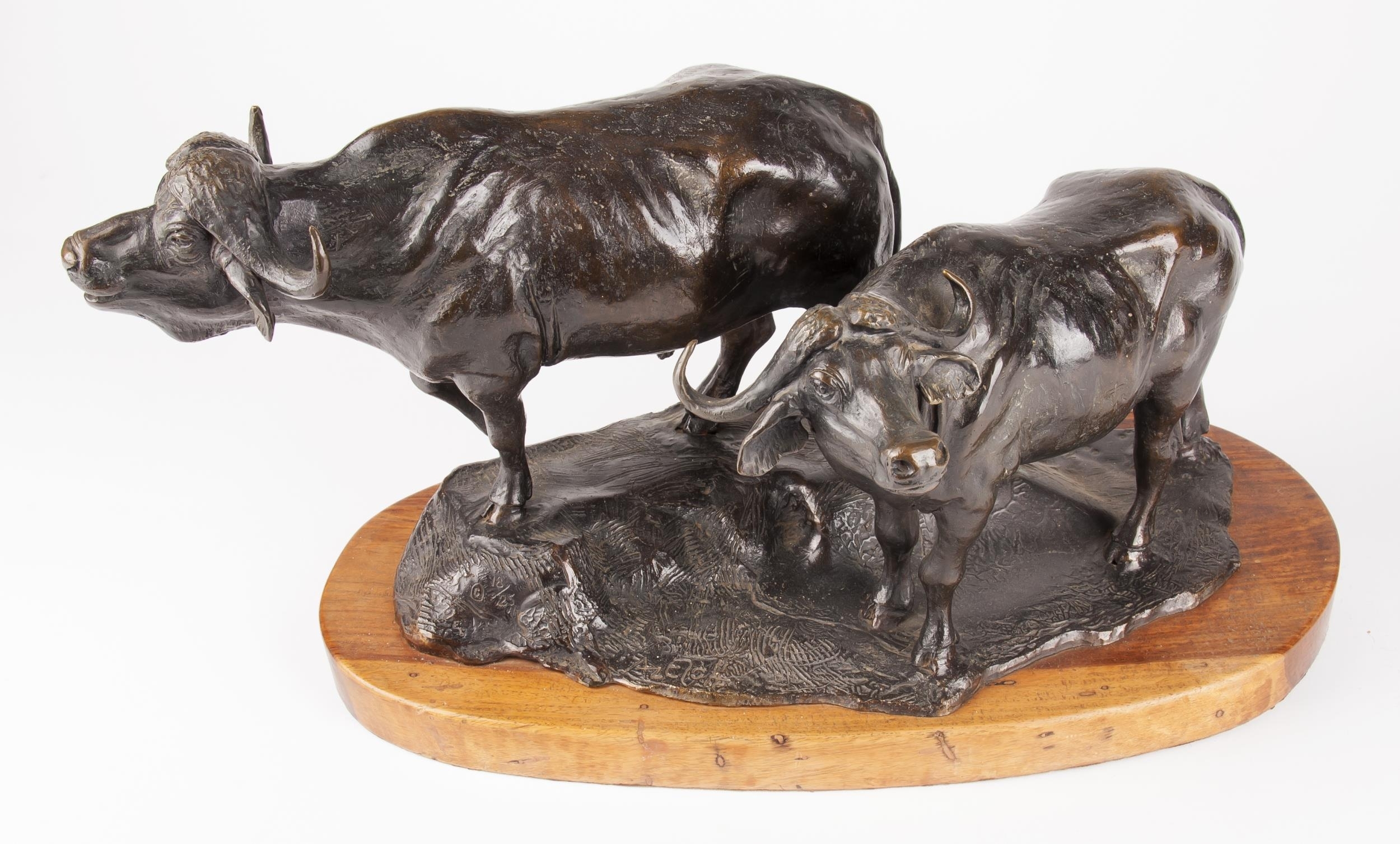 Arend Eloff | BUFFALOES | MutualArt