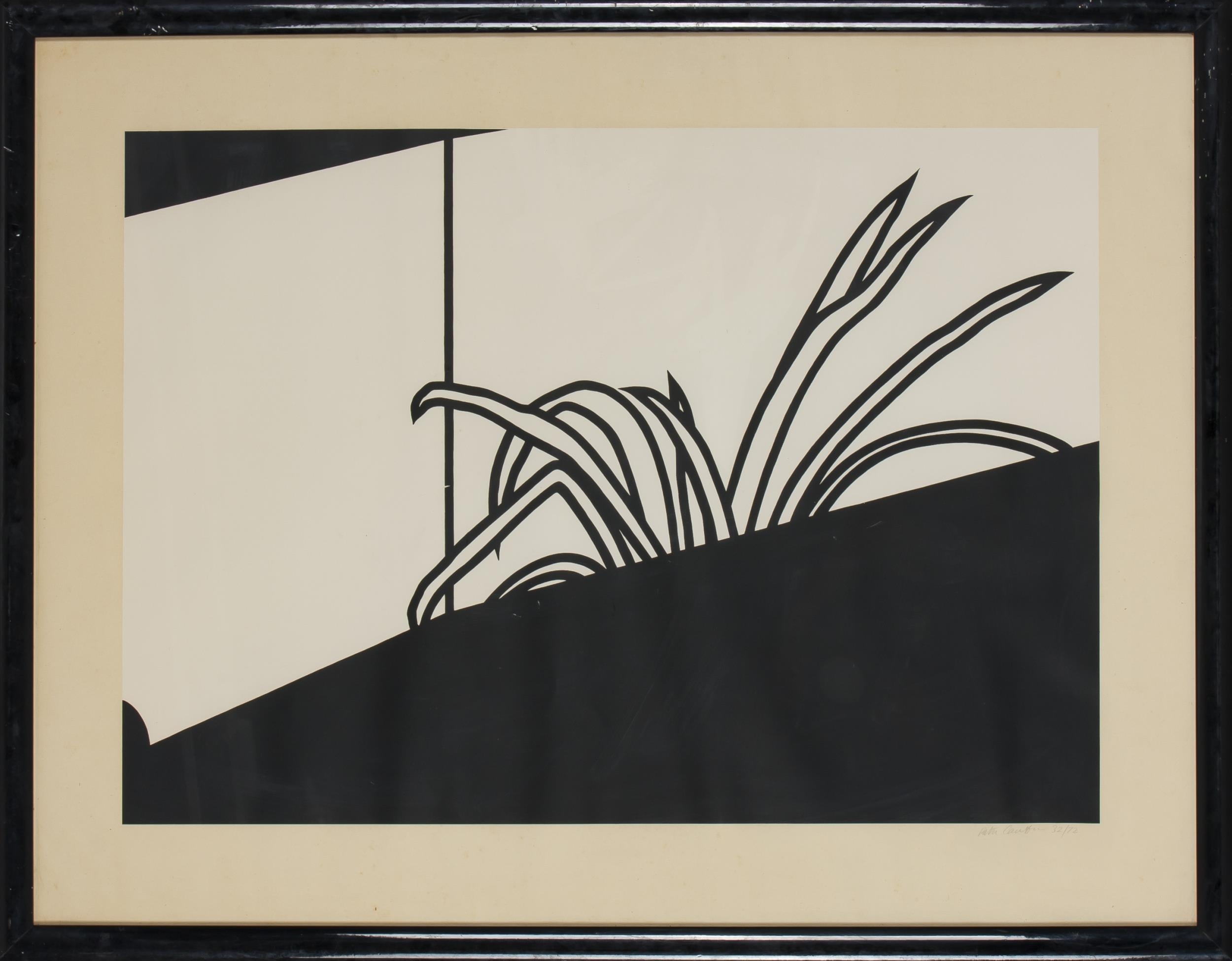 Patrick Caulfield | SPIDER PLANT | MutualArt