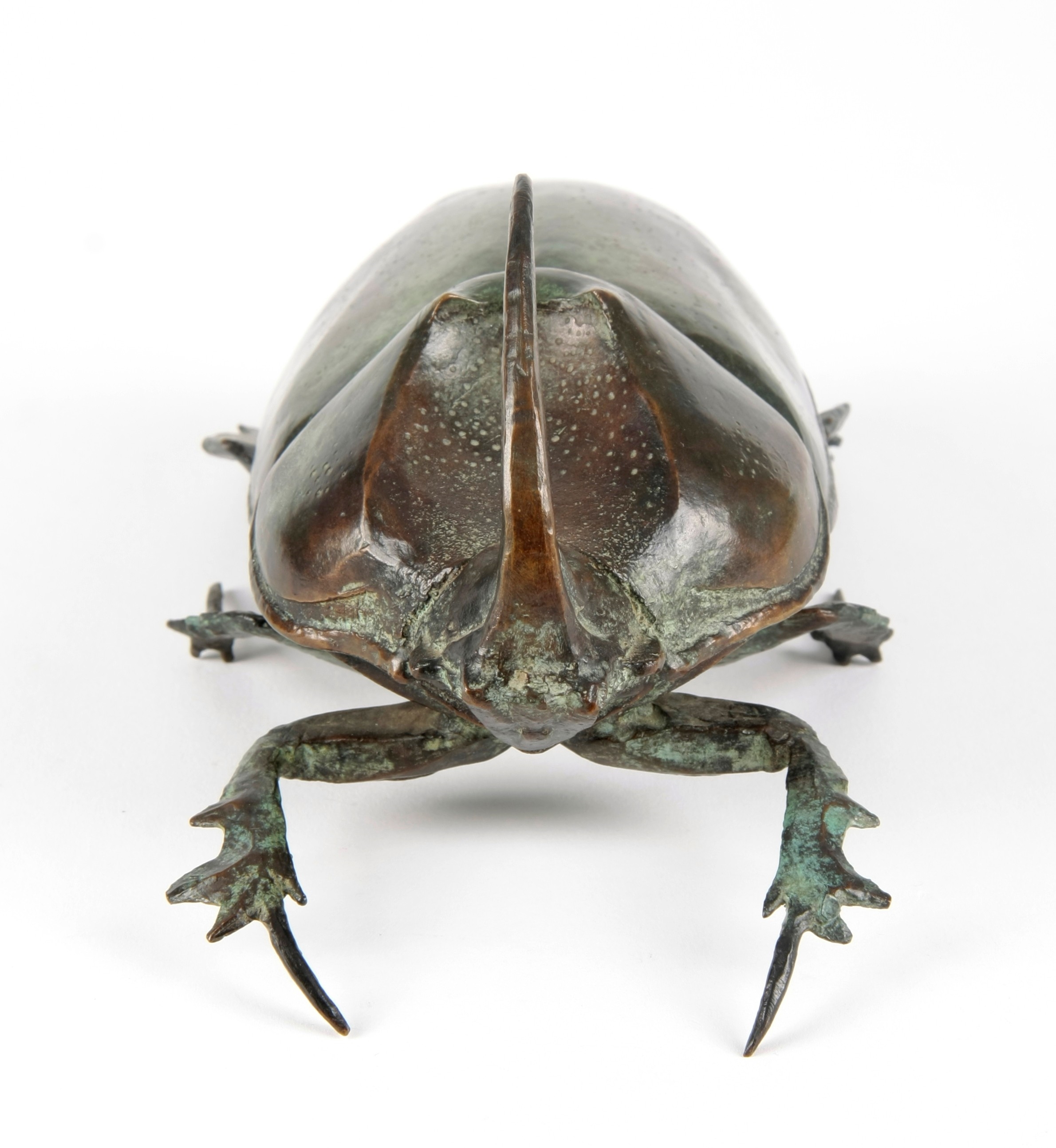 Tim Gale Lewis | RHINOCEROUS BEETLE | MutualArt