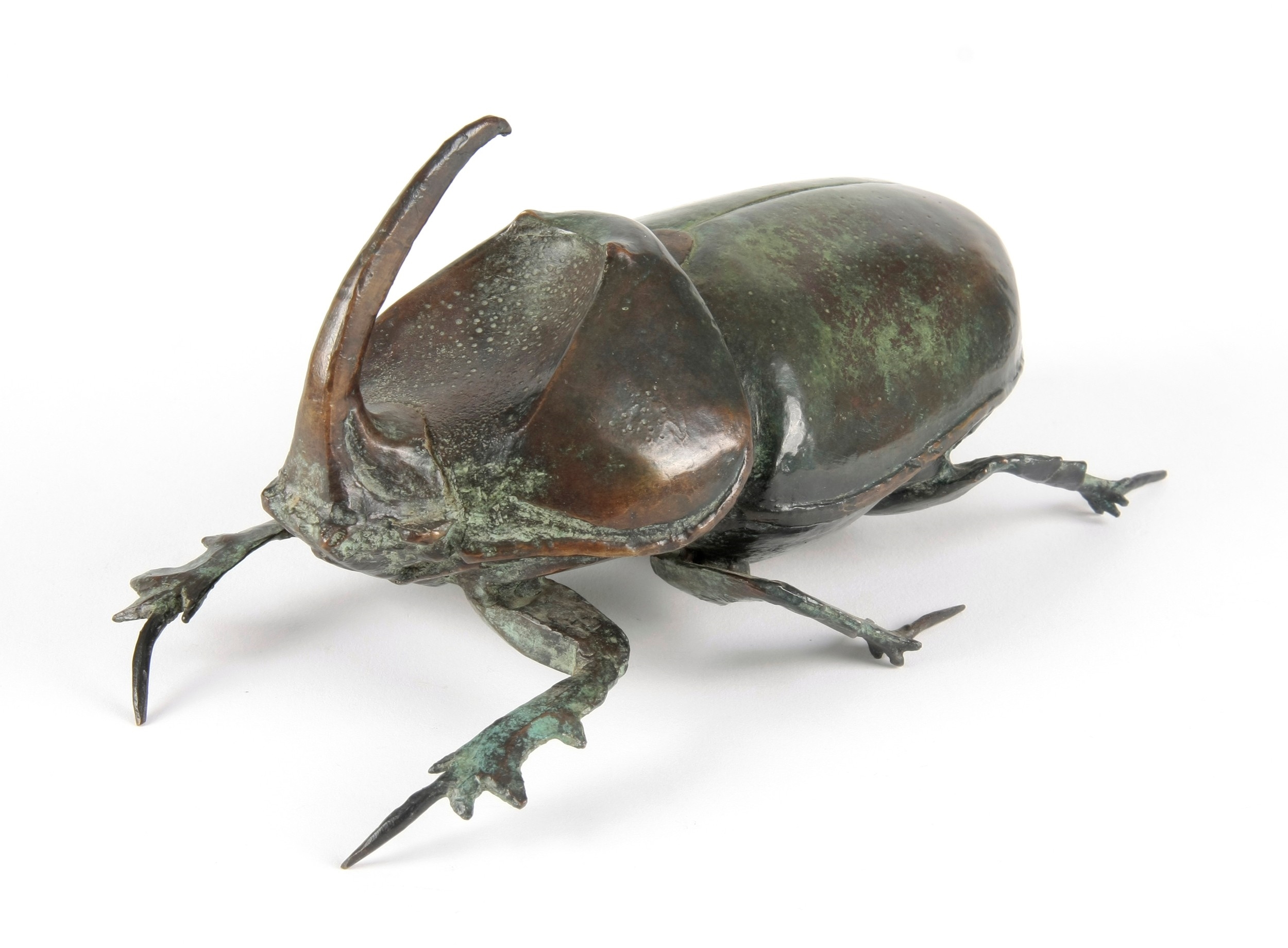 Tim Gale Lewis | RHINOCEROUS BEETLE | MutualArt