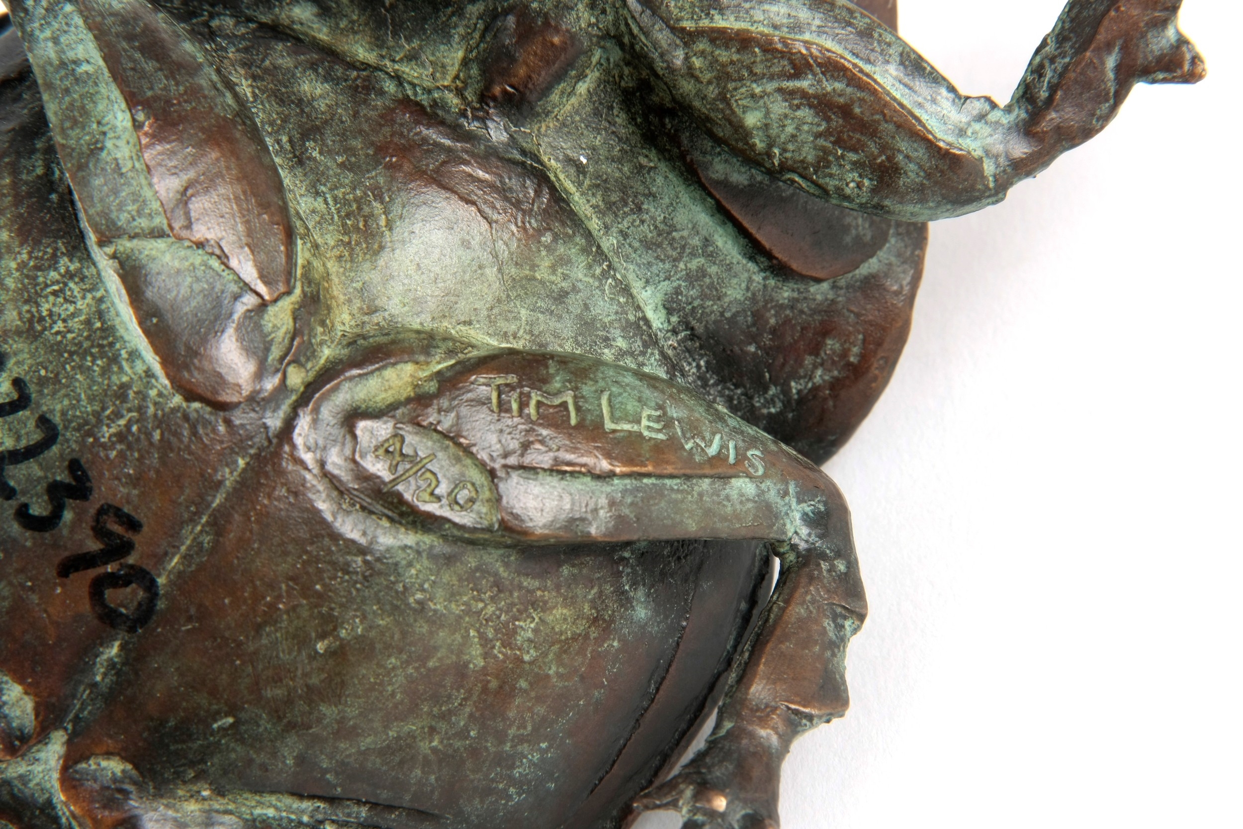 Tim Gale Lewis | RHINOCEROUS BEETLE | MutualArt