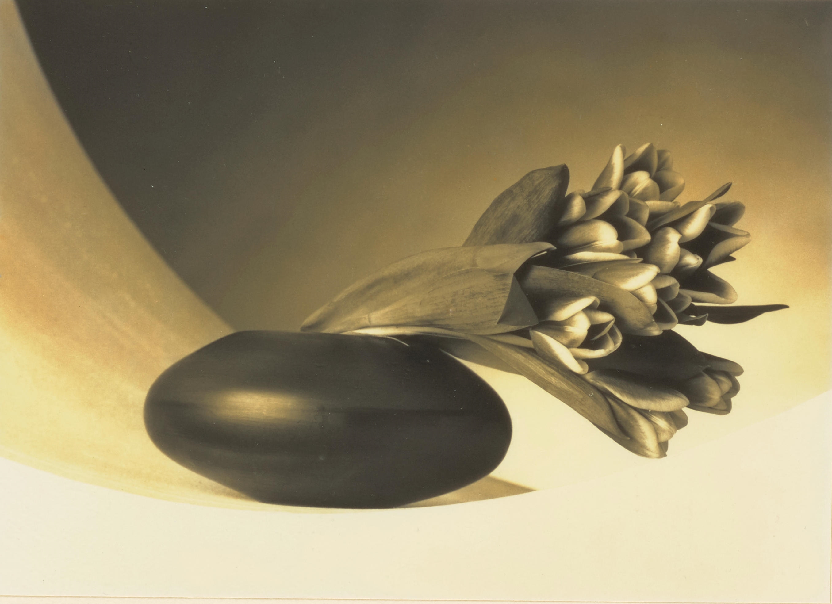 Robert Mapplethorpe | Lisa Lyon | MutualArt