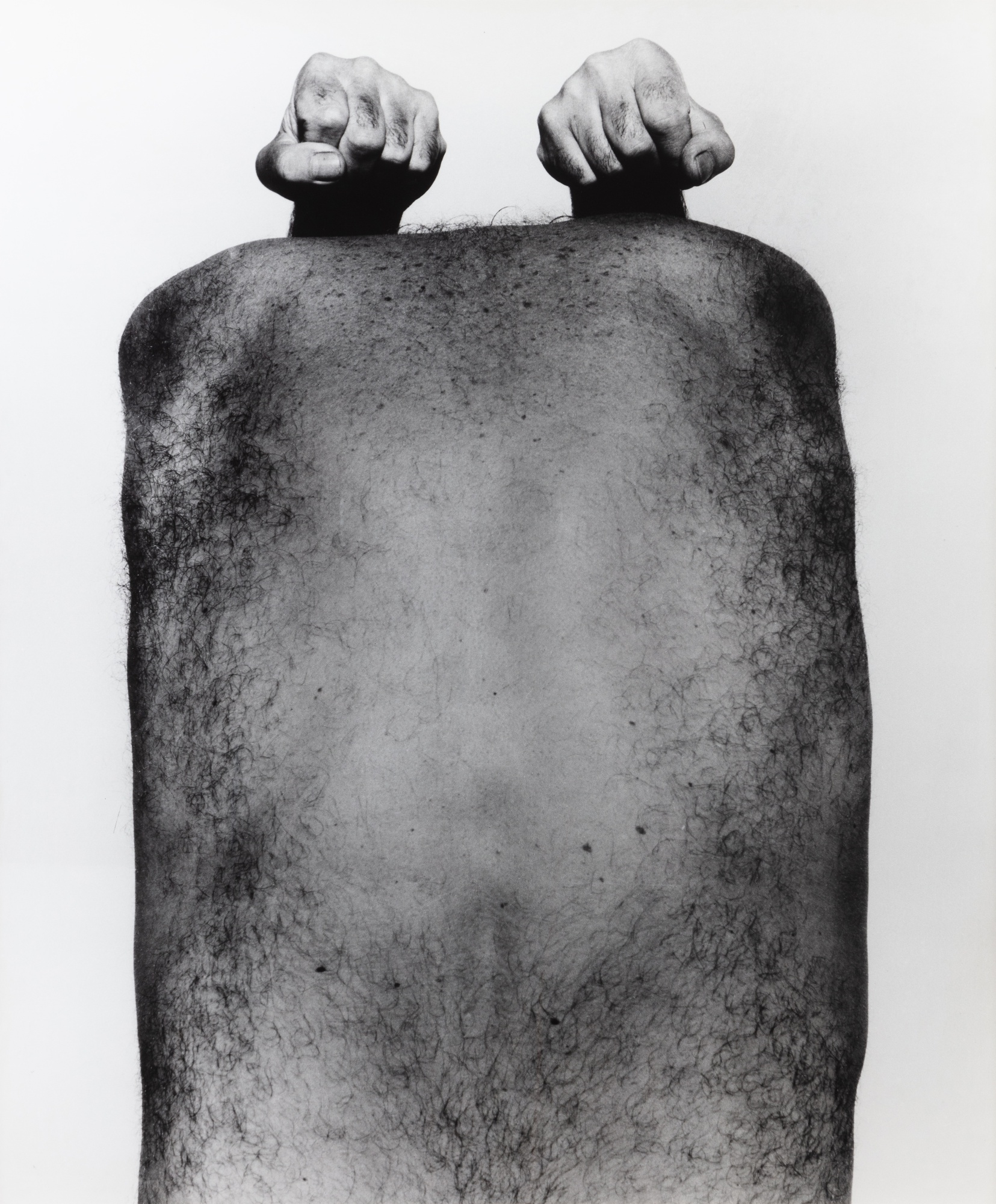John Coplans | Self-portrait: (back with arms above) (1984) | MutualArt