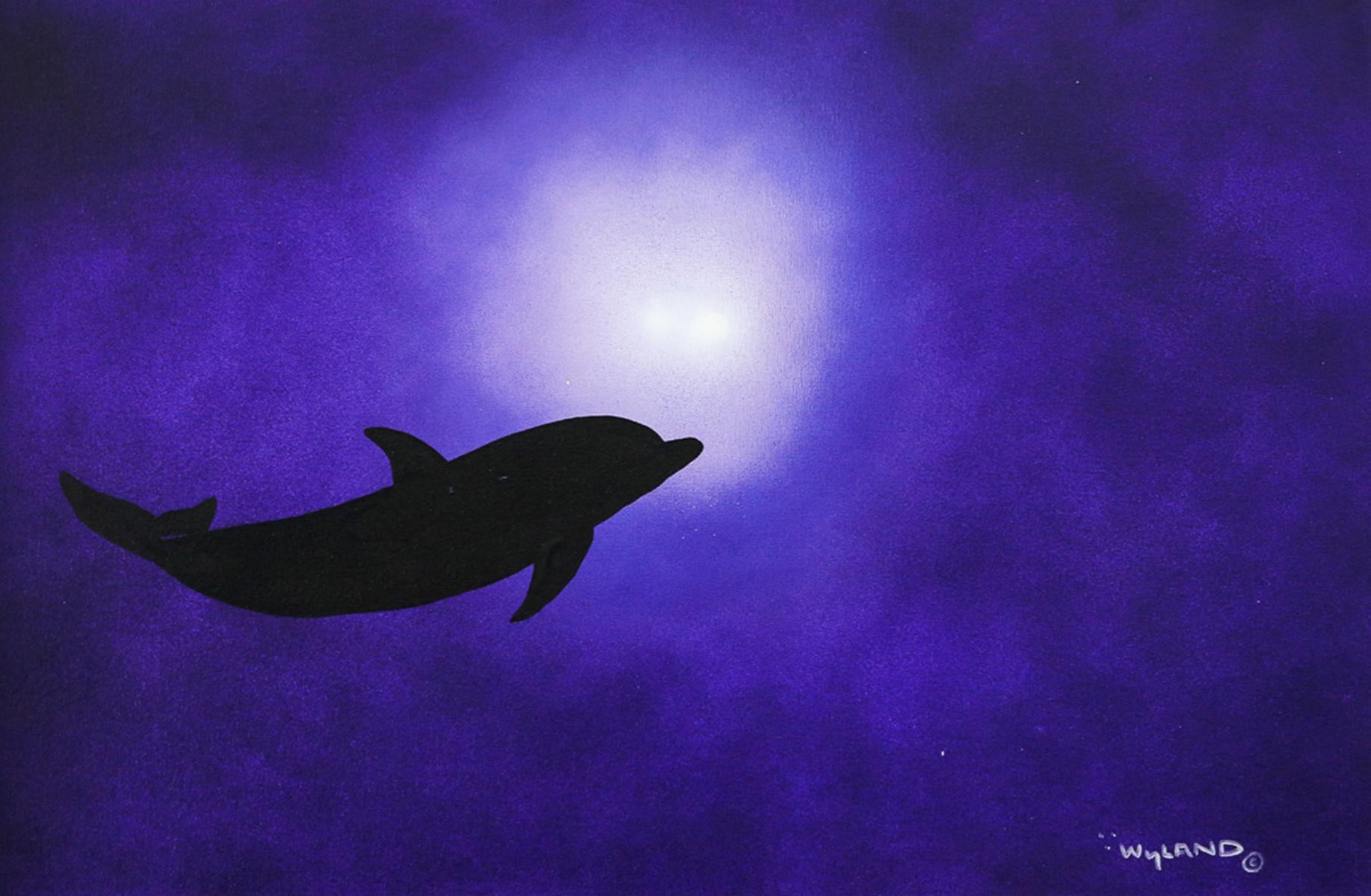 Robert Wyland | Dolphin | MutualArt