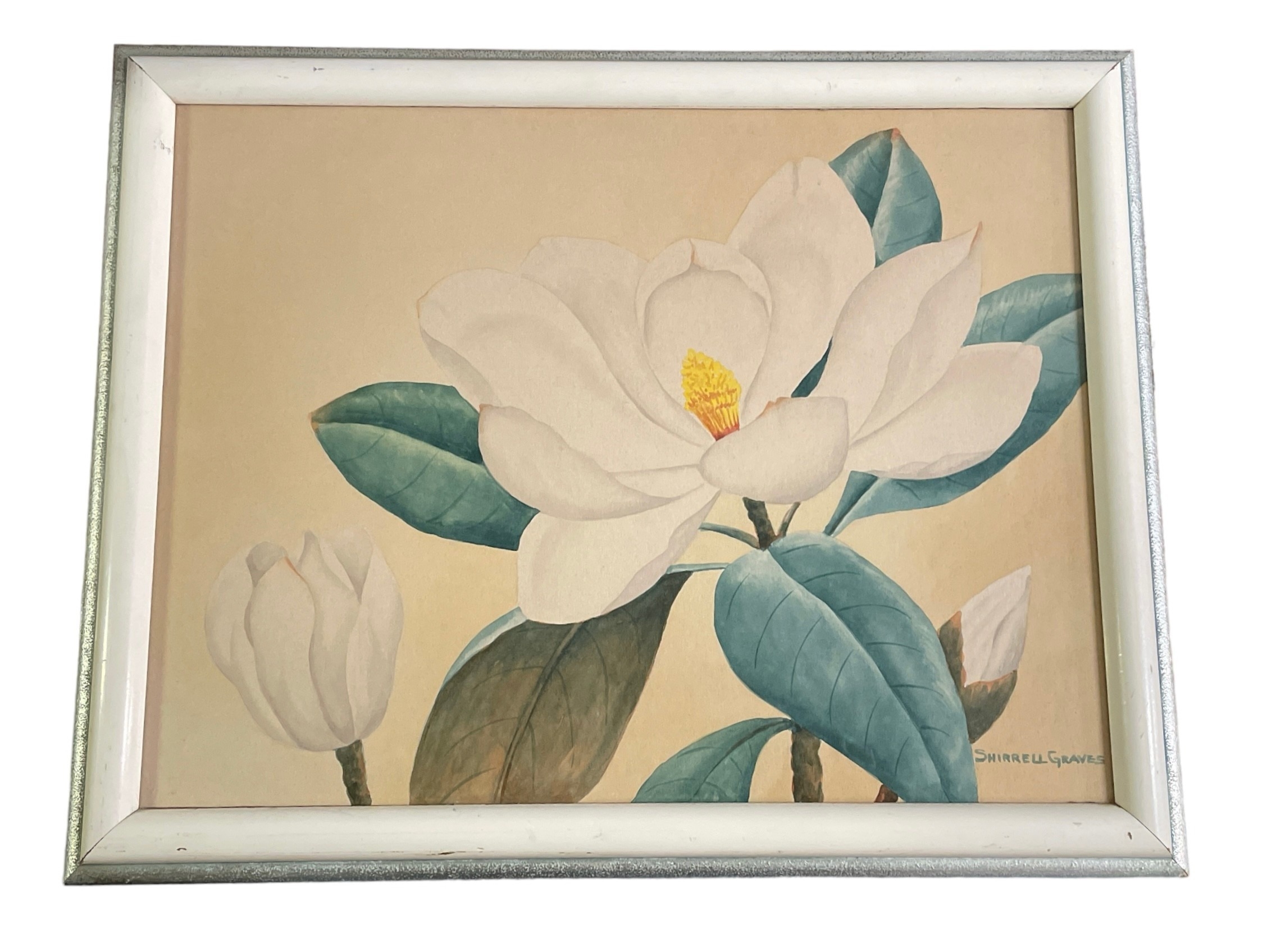 Shirrell Graves | White Magnolia | MutualArt