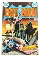 Neal Adams | Batman #244 | MutualArt