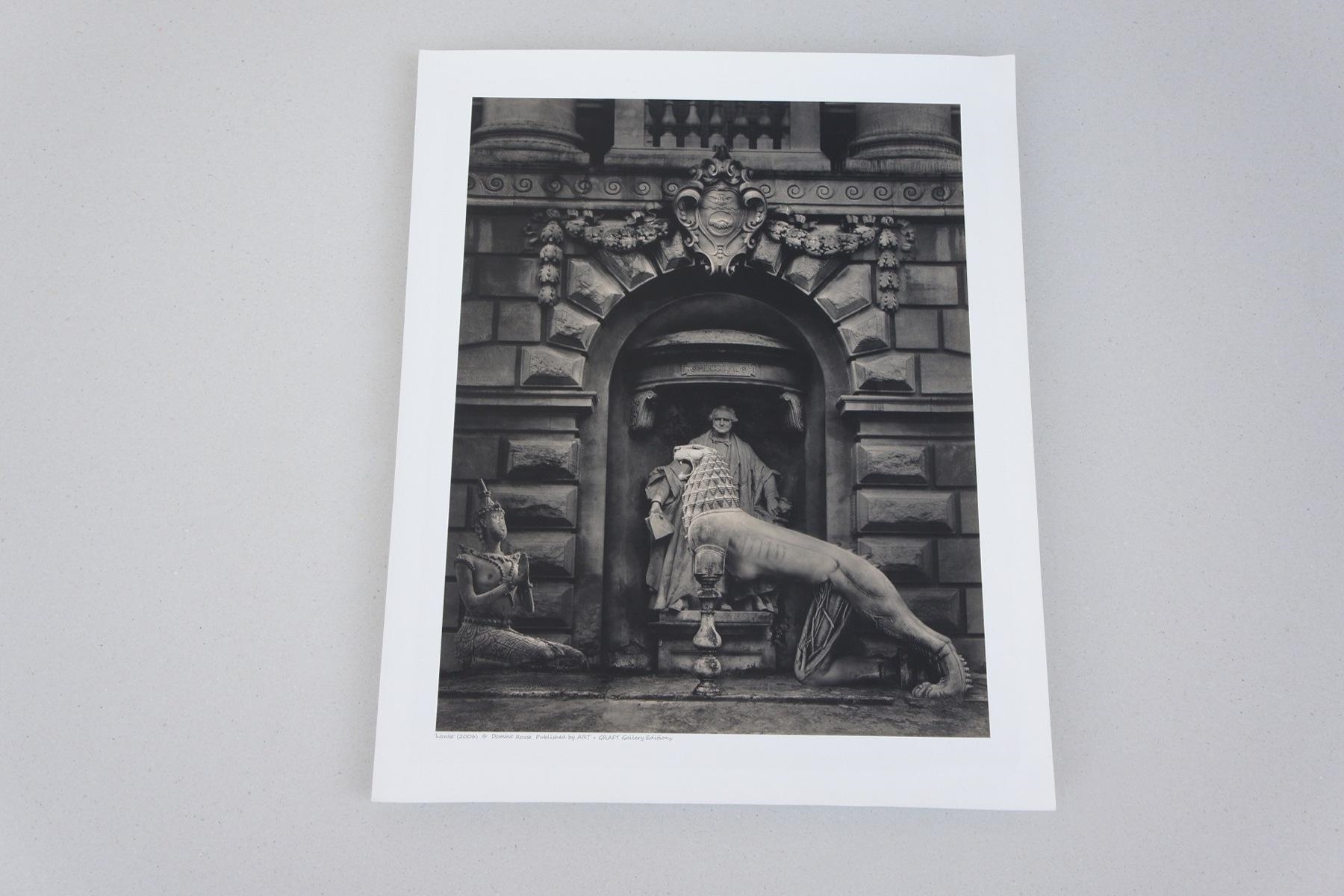 Dominic Rouse | Lionise (2006) | MutualArt