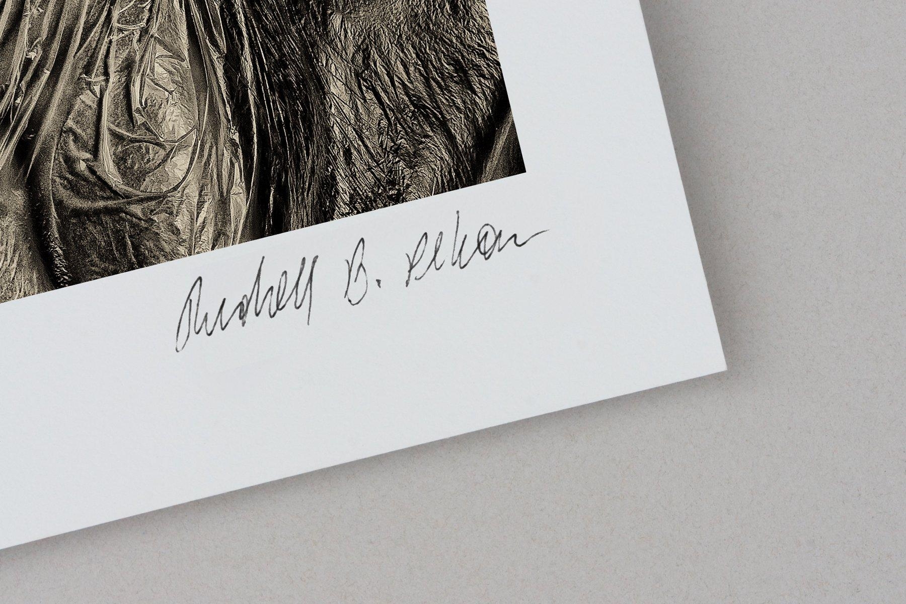 Rudolf B Pekar | The Shroud (2023) | MutualArt