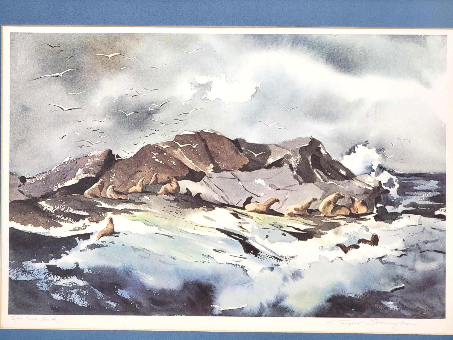 Nancy Taylor Stonington | Sea Lion Rock | MutualArt