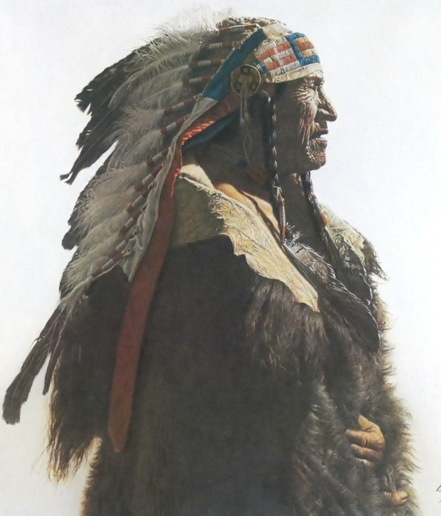 James Bama | Crow from Lodge Grass | MutualArt