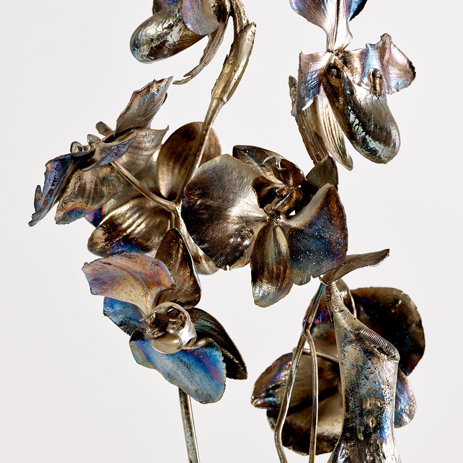 Marc Quinn | Untitled | MutualArt