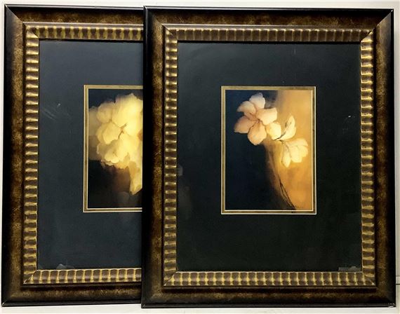 Deborah K. Ellis | Flower Home Decor | MutualArt