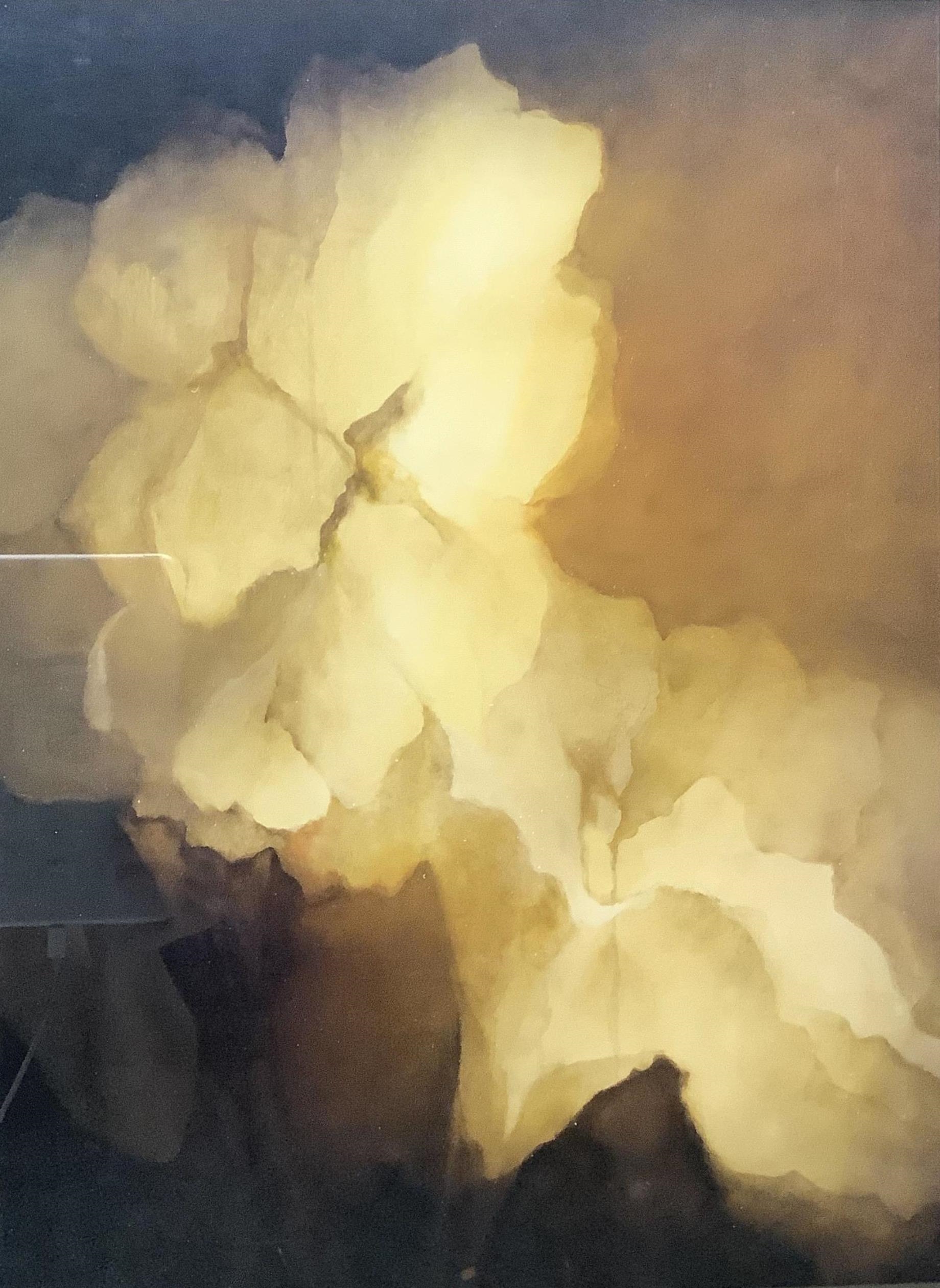 Deborah K. Ellis | Flower Home Decor | MutualArt