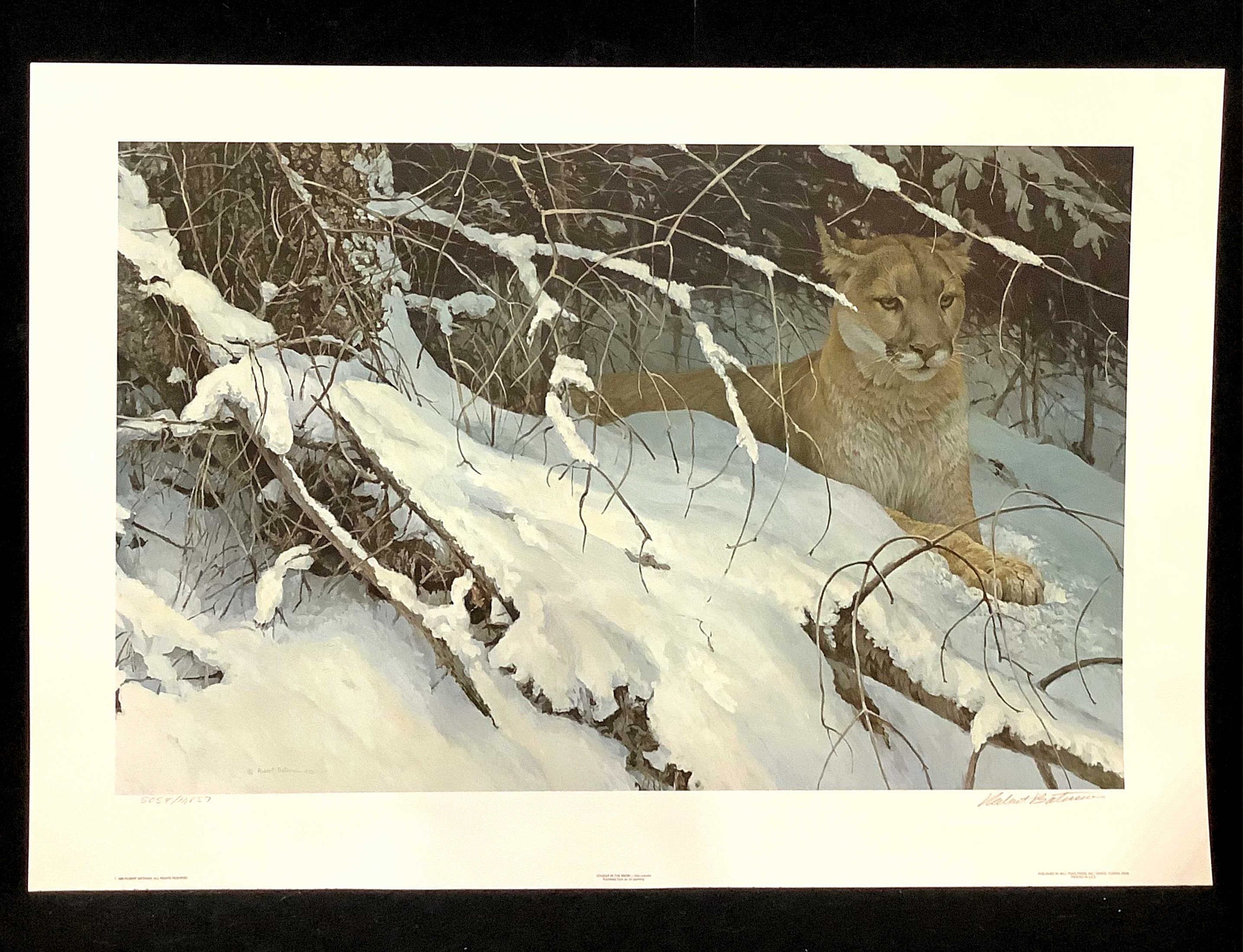 Robert Bateman | Cougar In The Snow | MutualArt