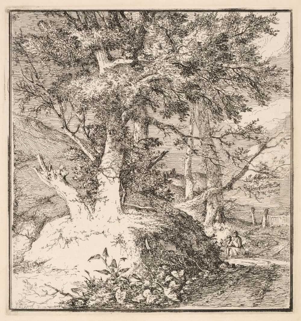 John Crome | A Large Tree on a Mound (1809 - 1813) | MutualArt