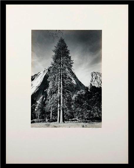 Ansel Adams | Trees and Cliffs (1954) | MutualArt