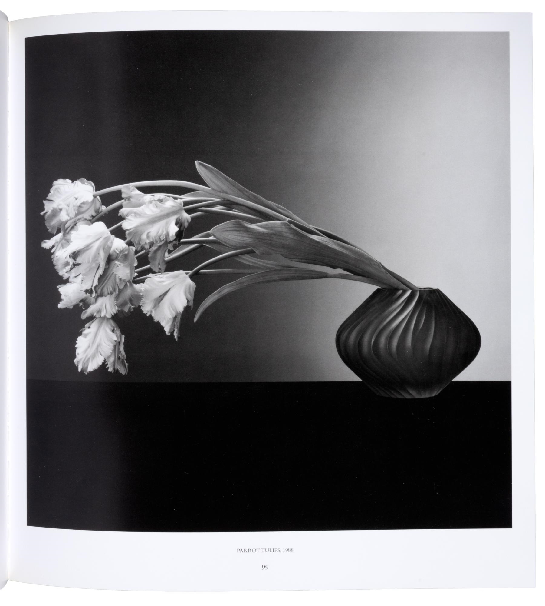 Robert Mapplethorpe | Three Robert Mapplethorpe photography volumes ...