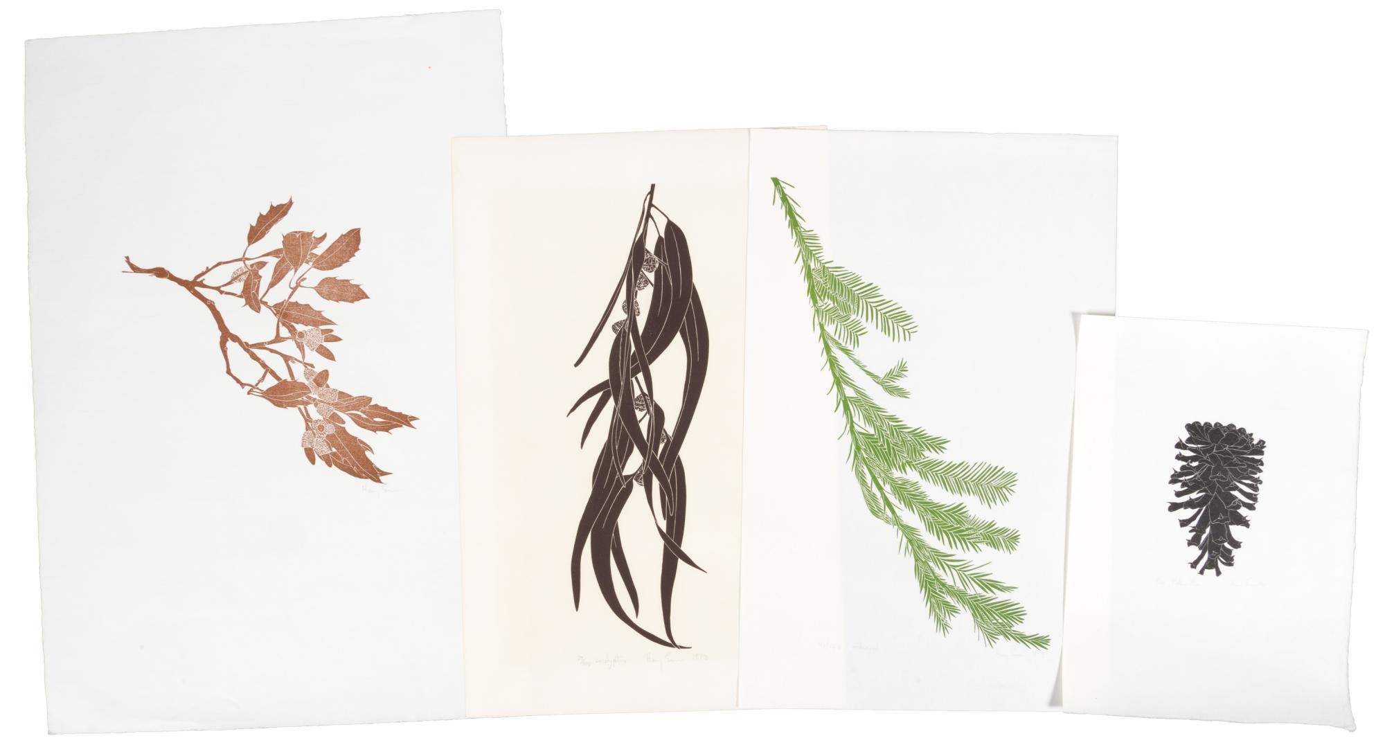 Henry Evans | Seven prints of iconic California plants by Henry Evans ...