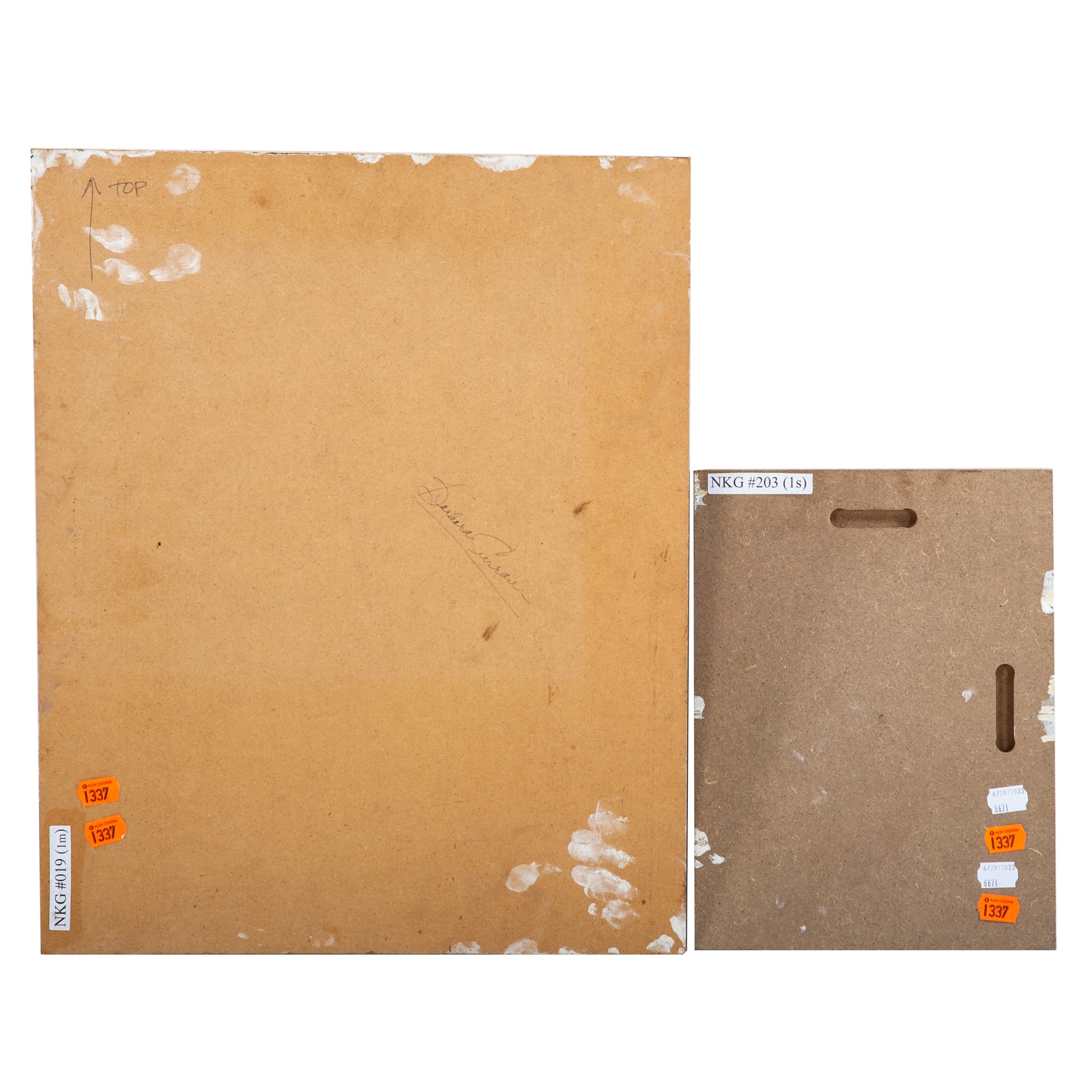 Barbara Curran | Floral Still Life | MutualArt