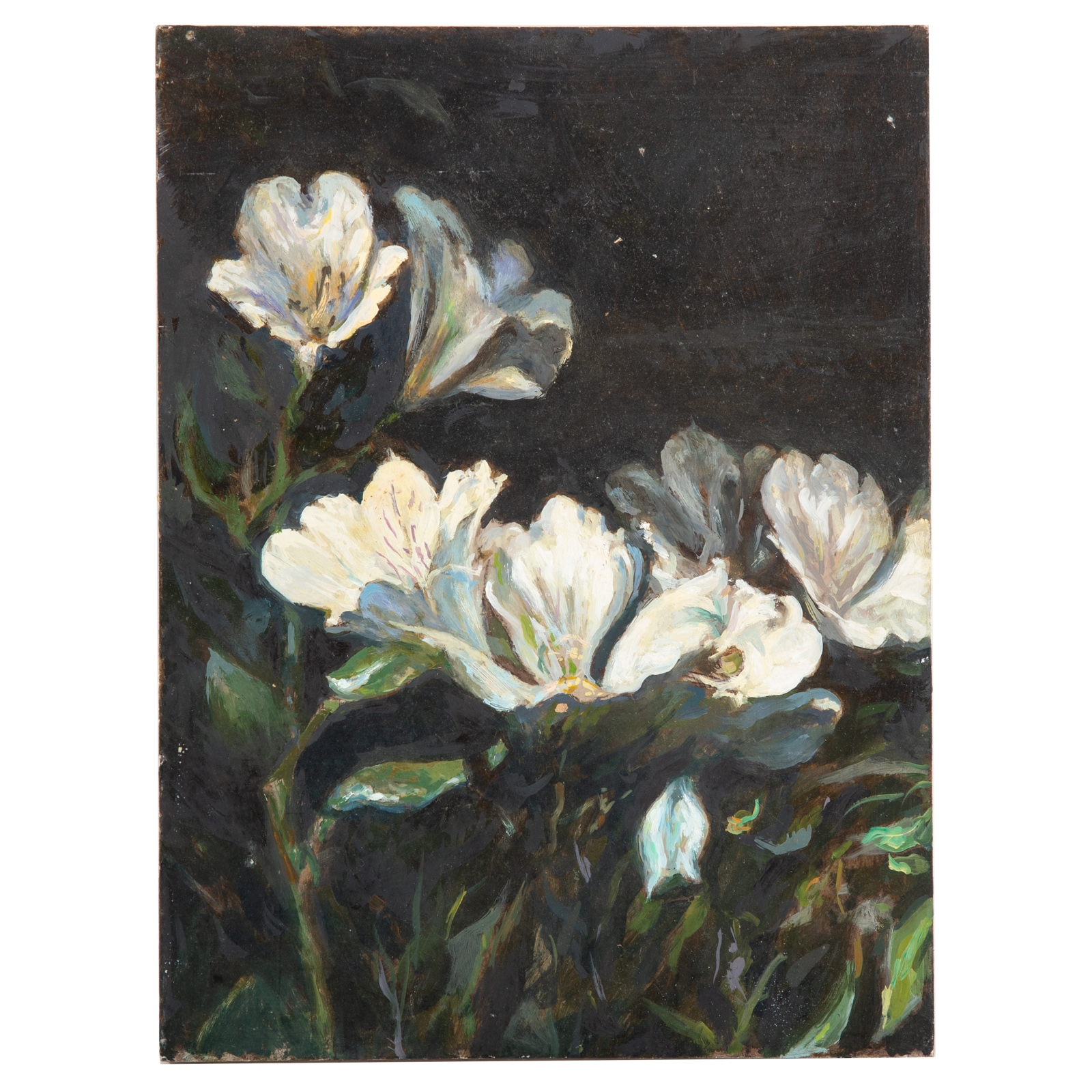 Barbara Curran | Floral Still Life | MutualArt