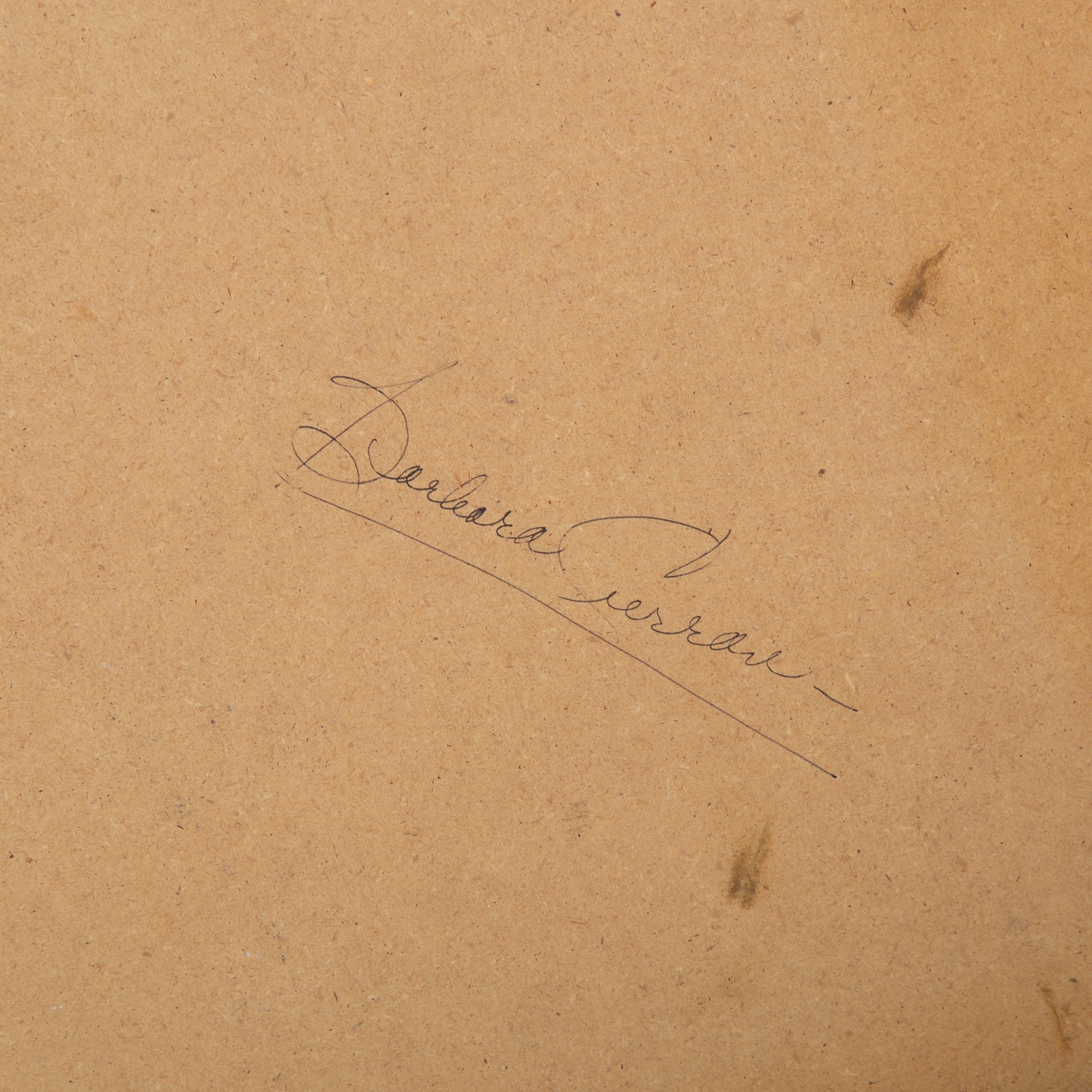 Barbara Curran | Floral Still Life | MutualArt