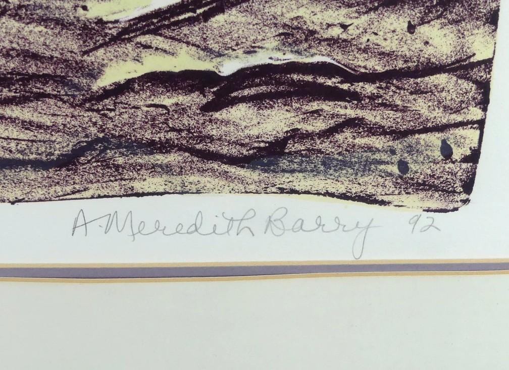 Anne Meredith Barry | Reef off the Cribbies (1992) | MutualArt