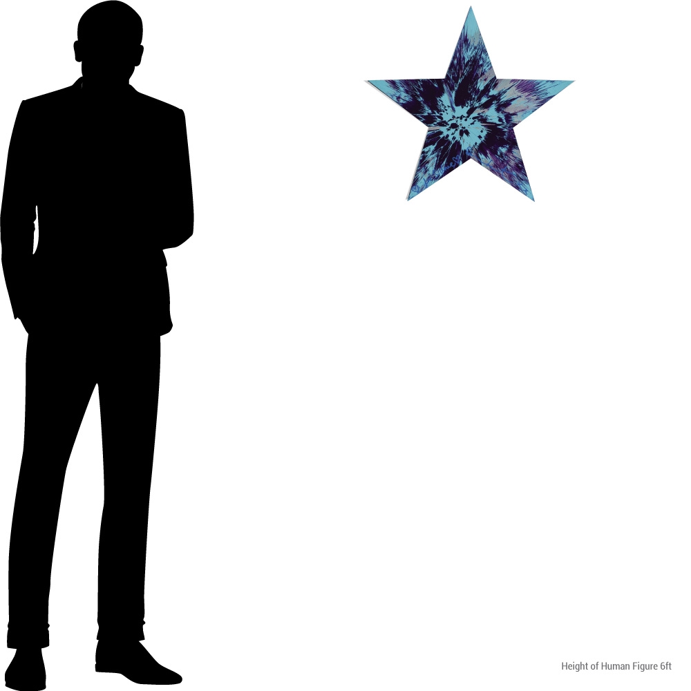 Damien Hirst | Star Spin Painting (2011) | MutualArt