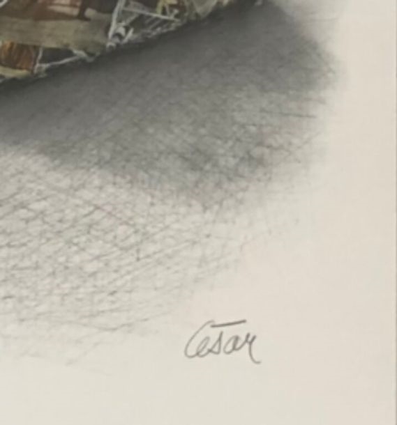 César Baldaccini | Portrait de compression | MutualArt